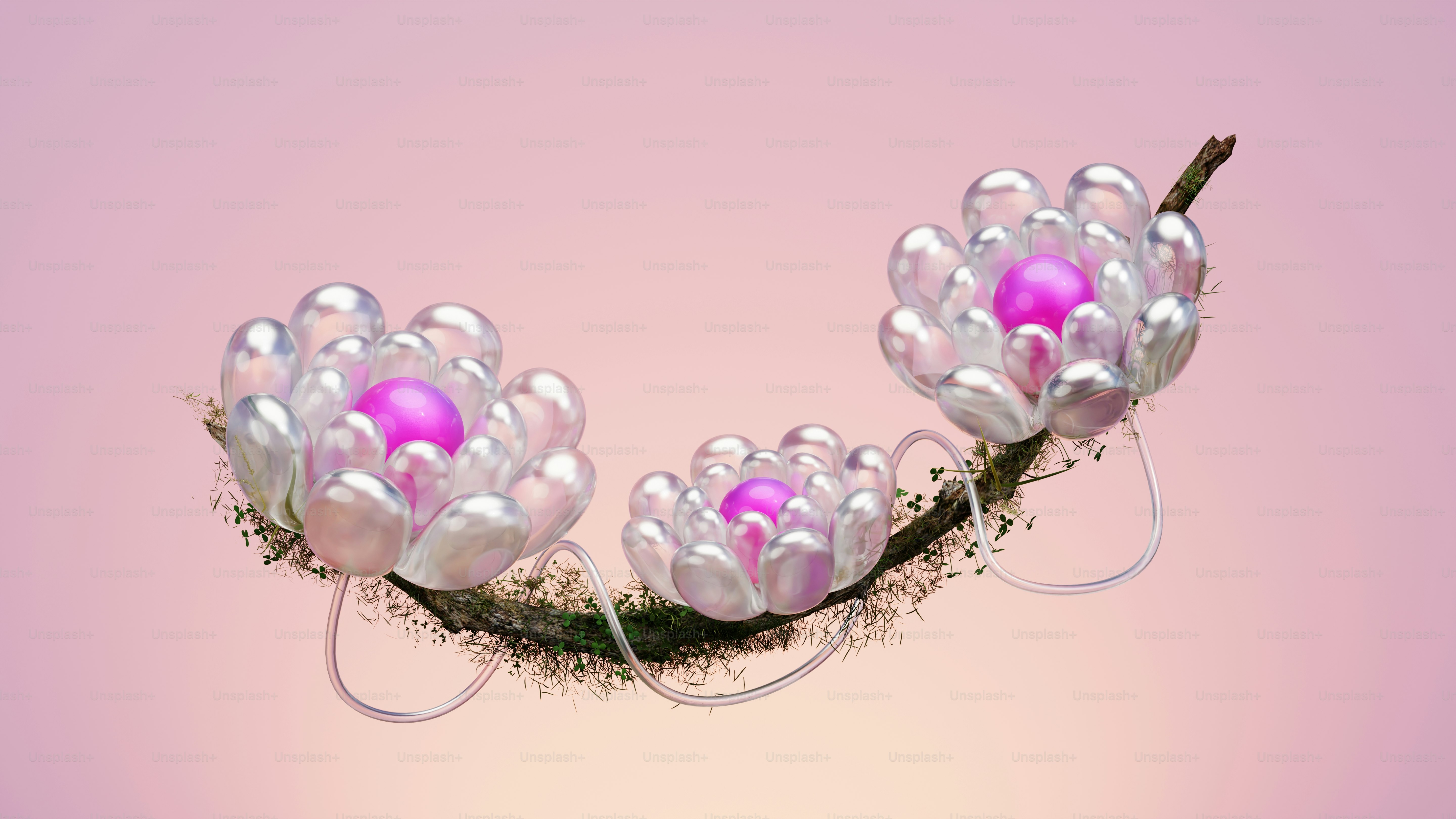 A close up of a flower on a stem photo – Botanicals Image on Unsplash