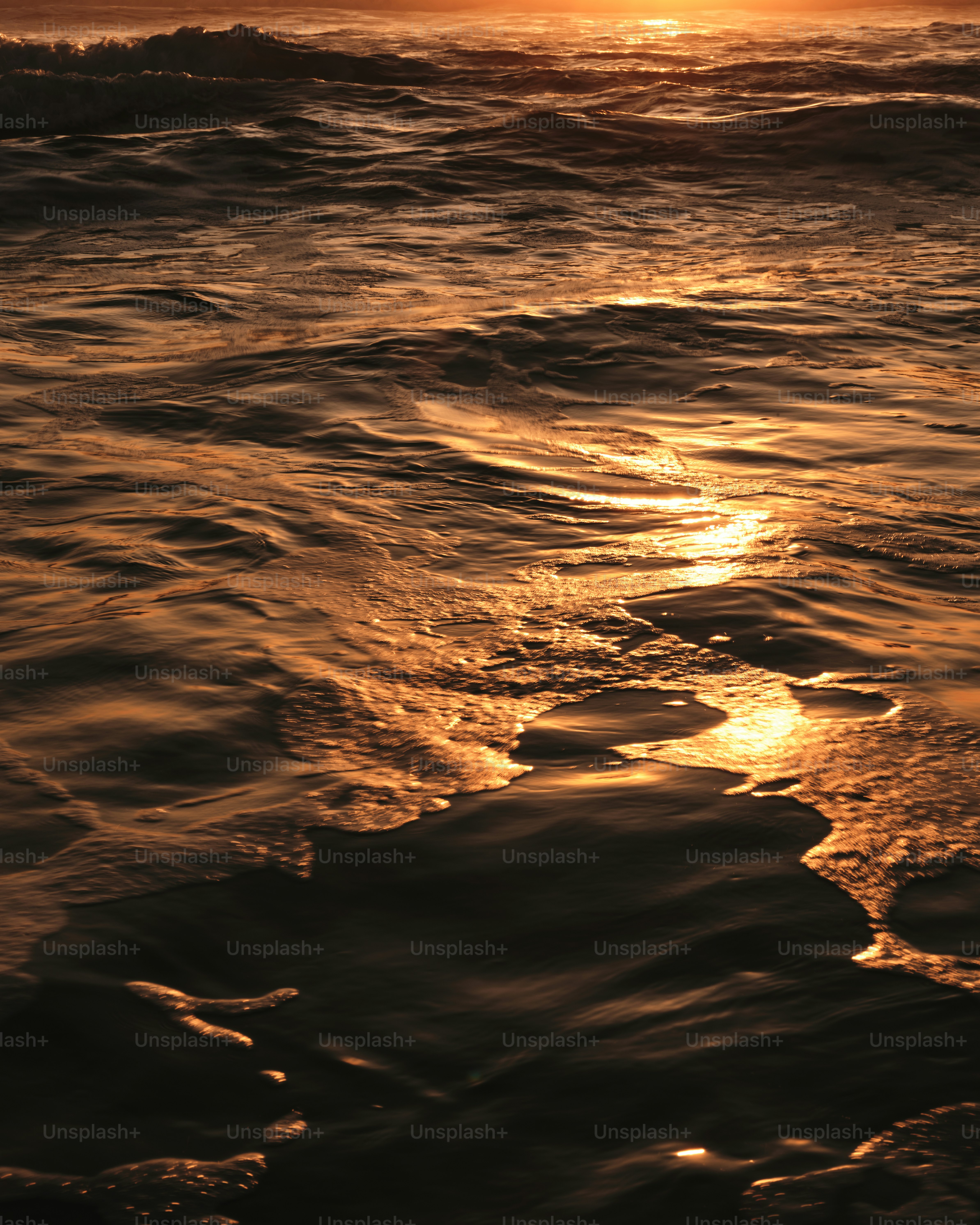 The sun is setting over a field of tall grass photo – Sunset Image on ...