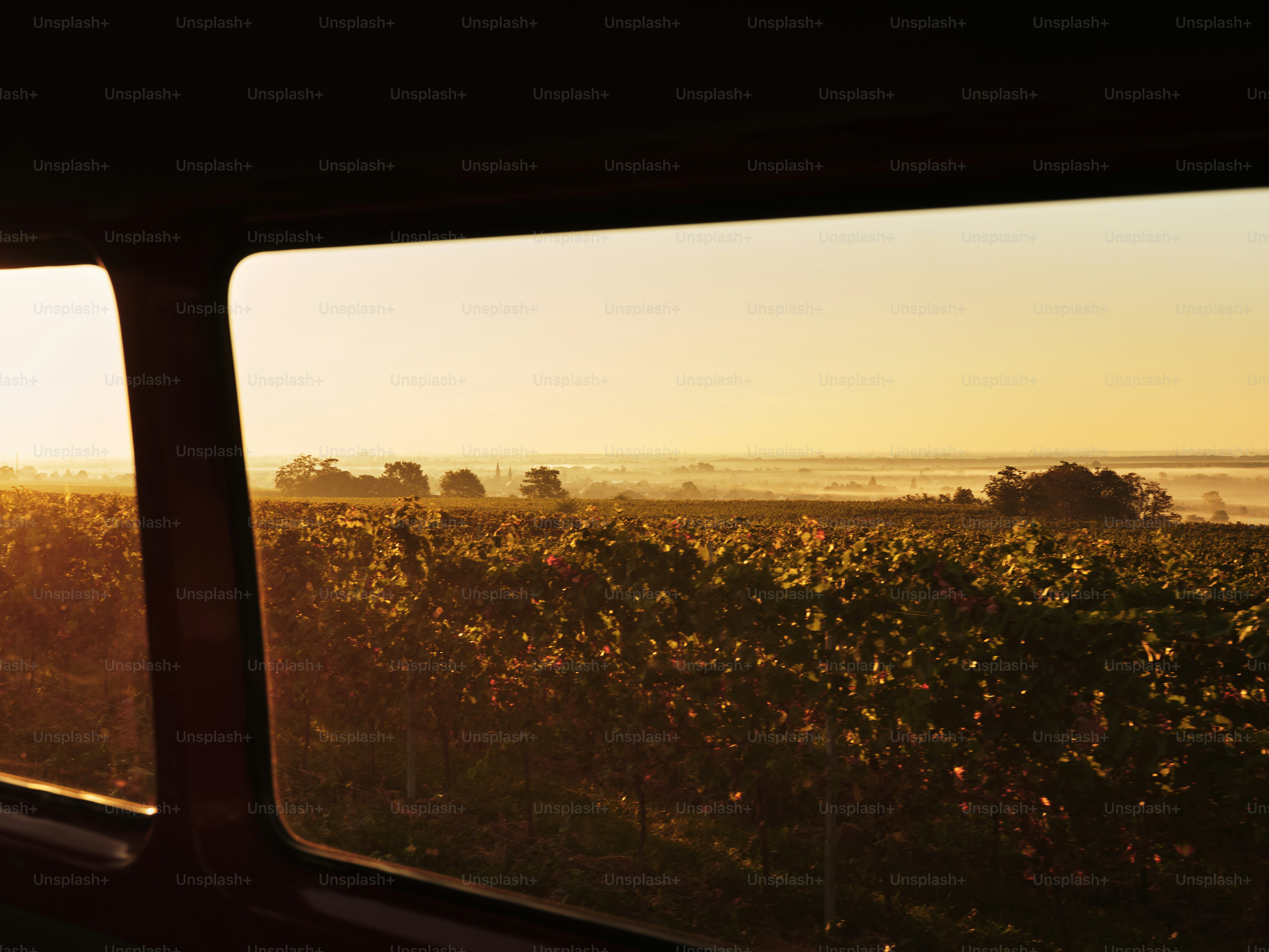 A view of a field from a train window photo – Golden hour Image on Unsplash