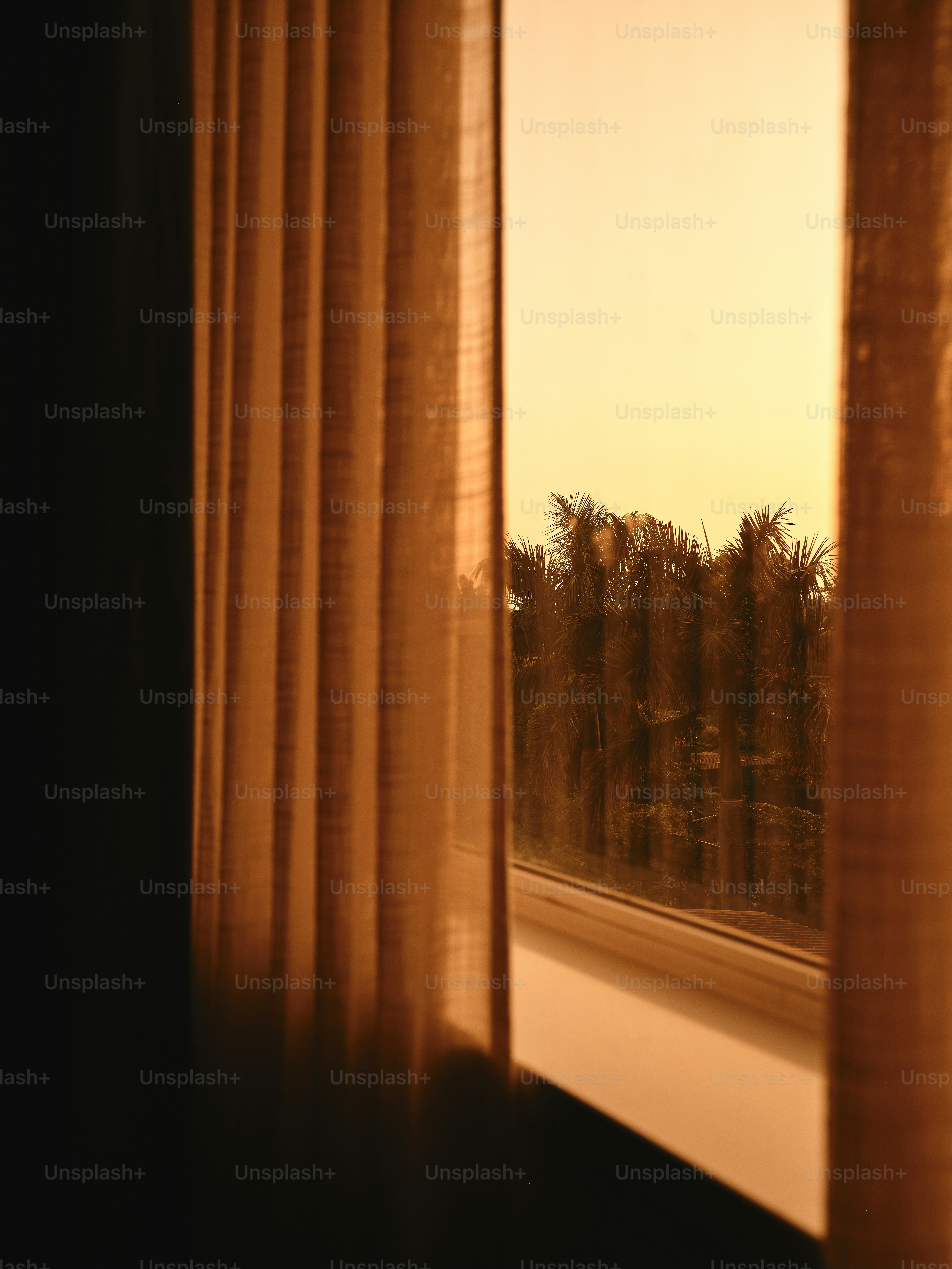 A window with a view of a forest outside photo – Sunset Image on Unsplash
