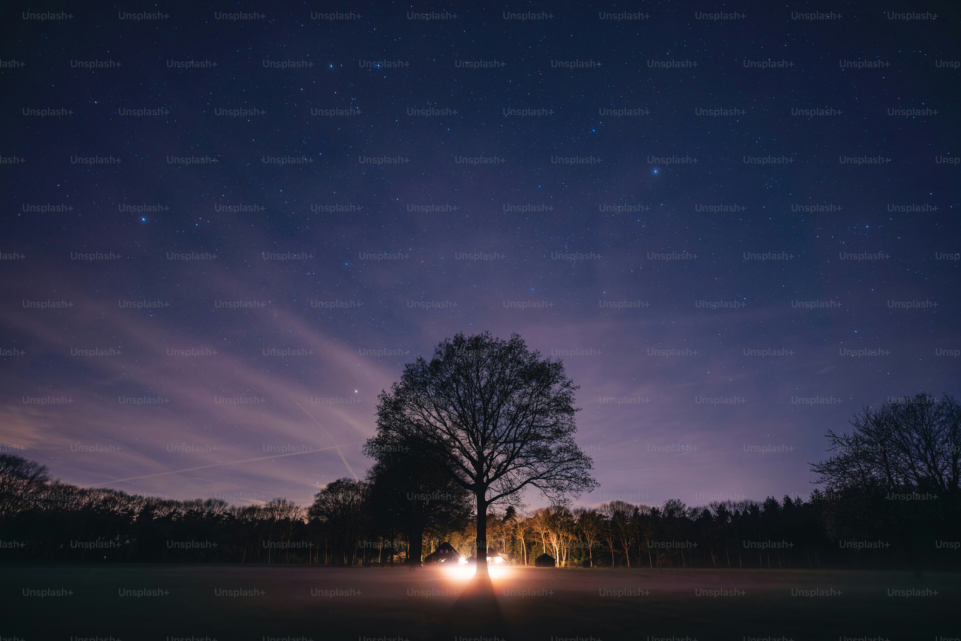 A night time scene of a field with a tree in the distance photo – Night ...