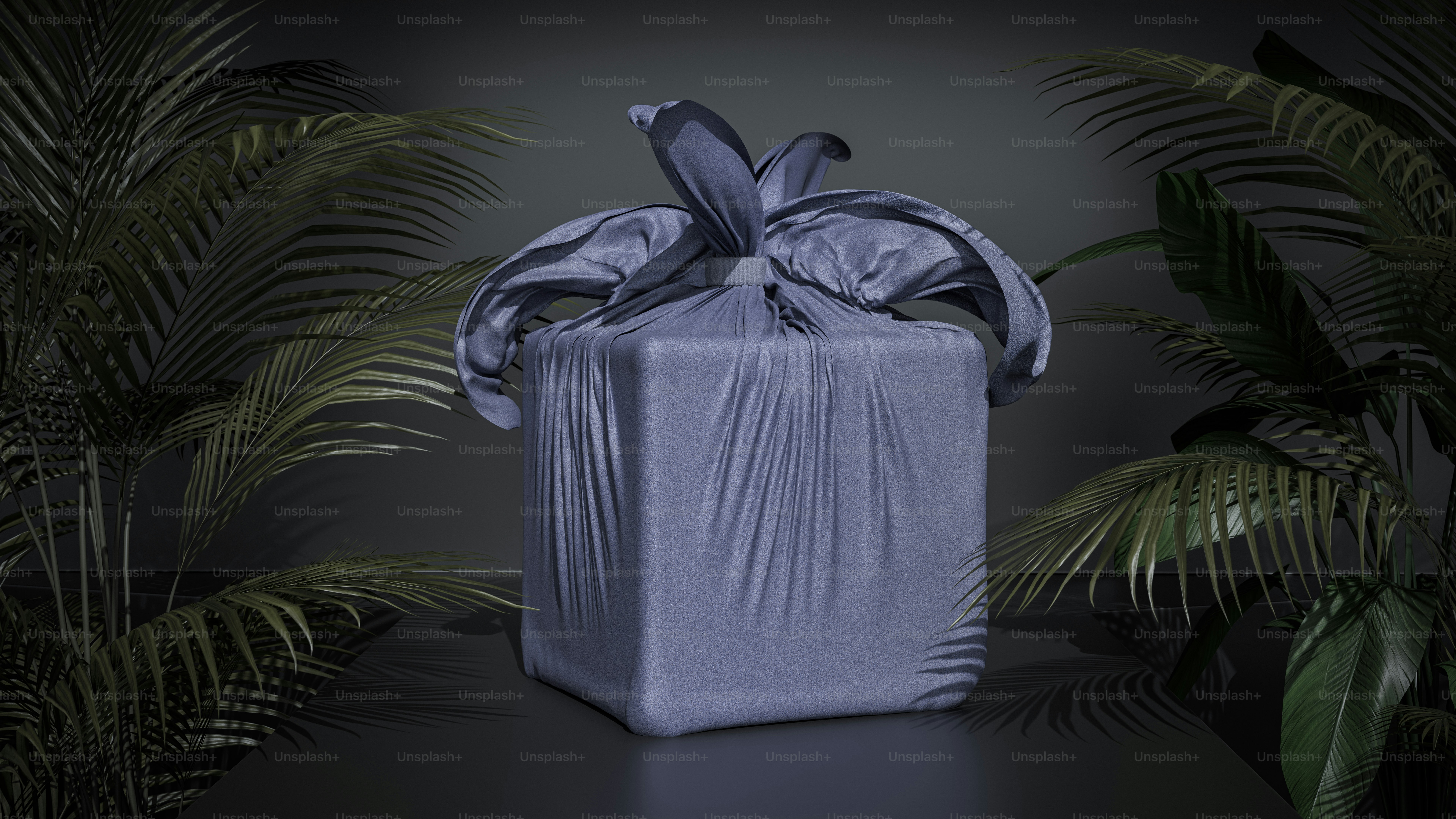 A blue wrapped present sitting in front of a palm tree photo ...