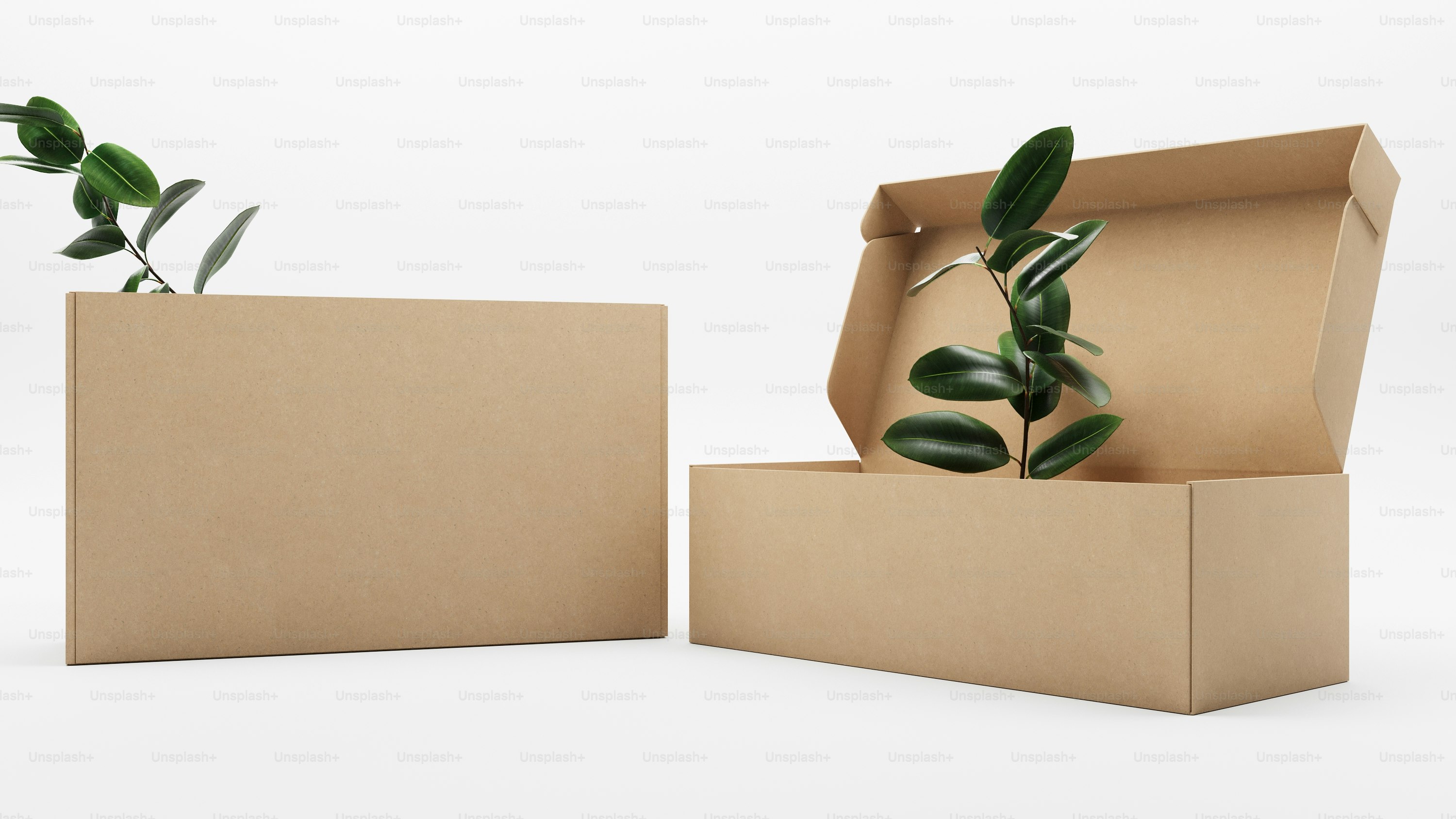 A cardboard box with a plant in it photo – Sustainability Image on Unsplash