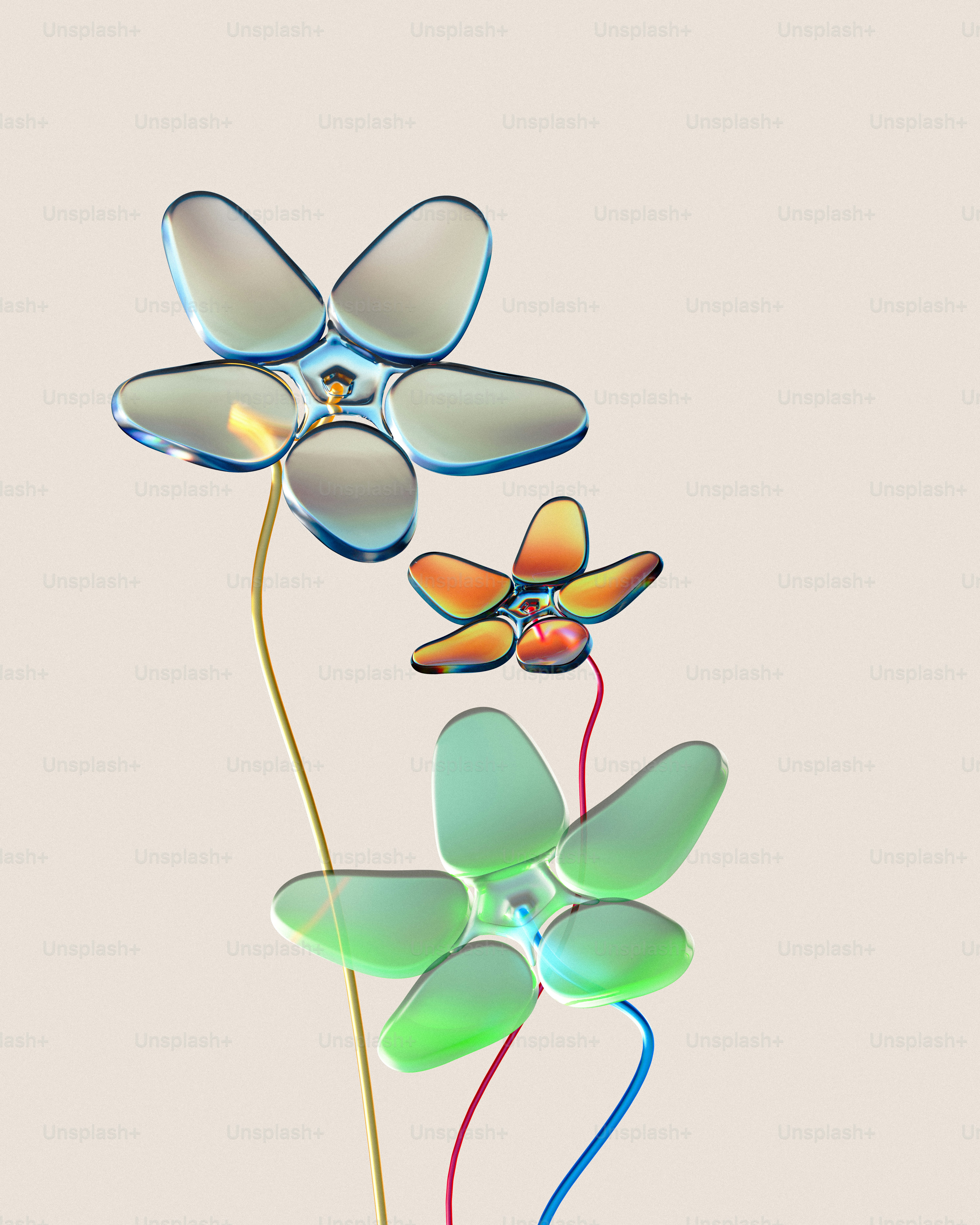 Flower Outline Pictures | Download Free Images on Unsplash