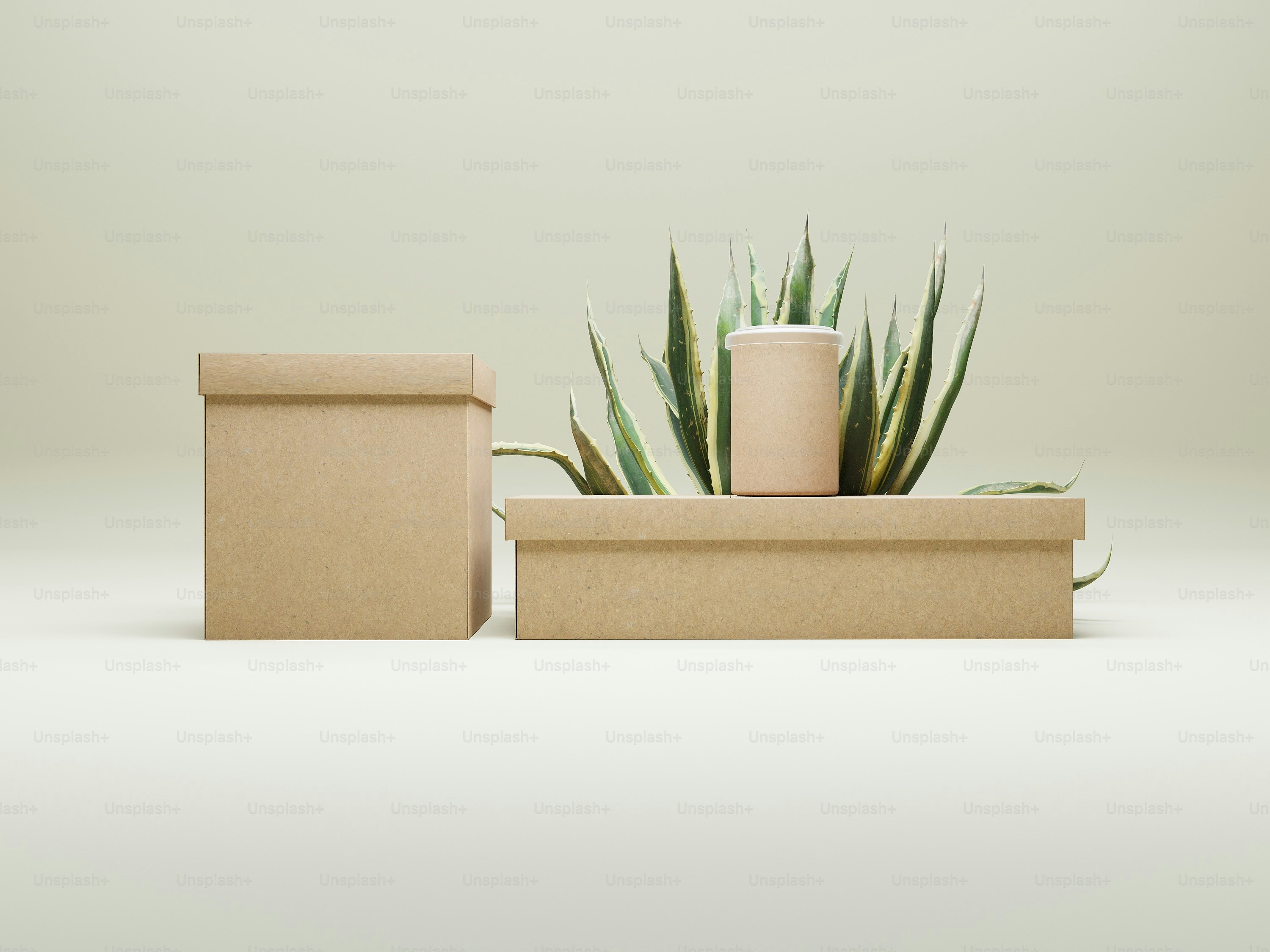 A cardboard box with a plant in it photo – Sustainability Image on Unsplash