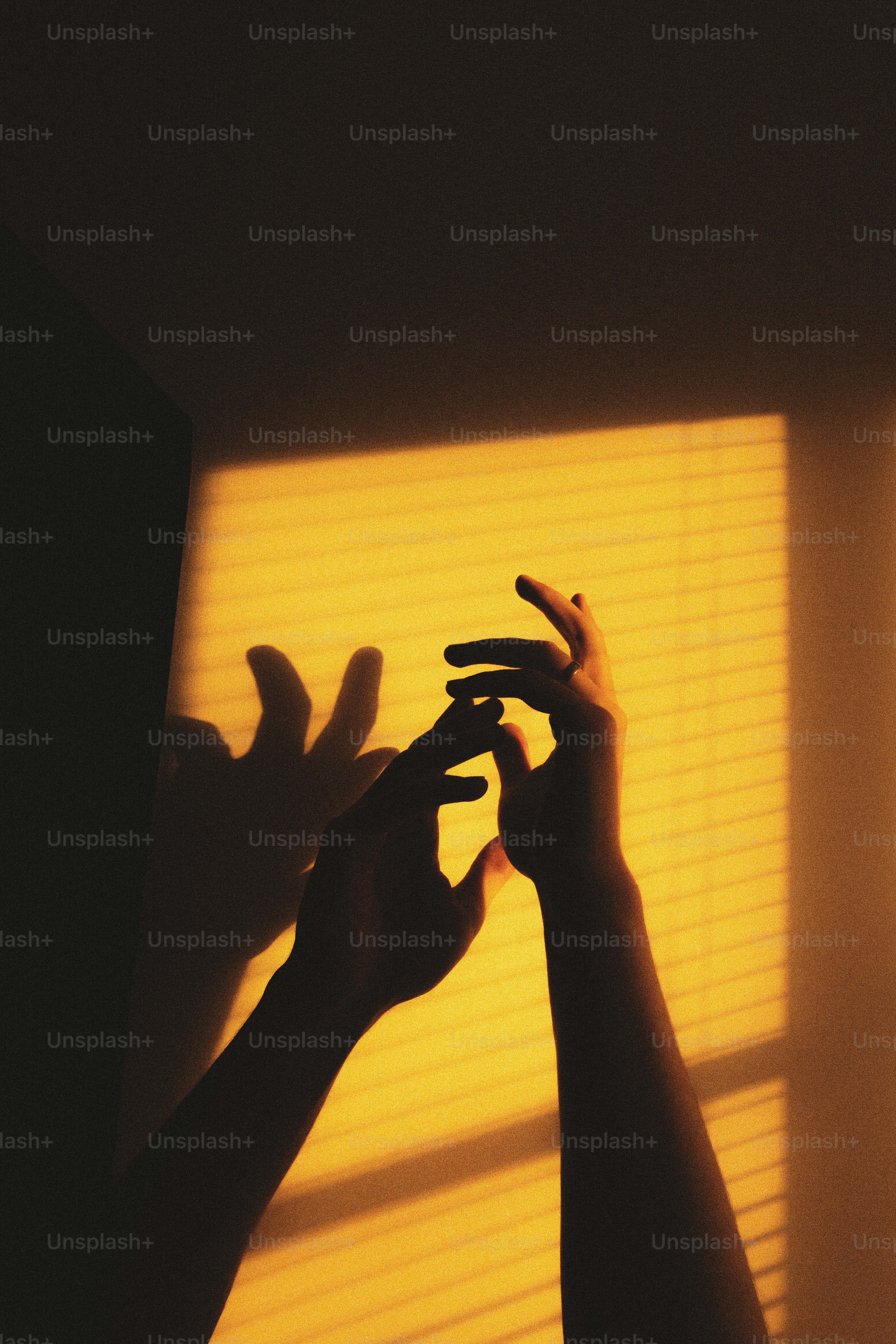 A person reaching up to a window with their hands photo – Shadows Image ...