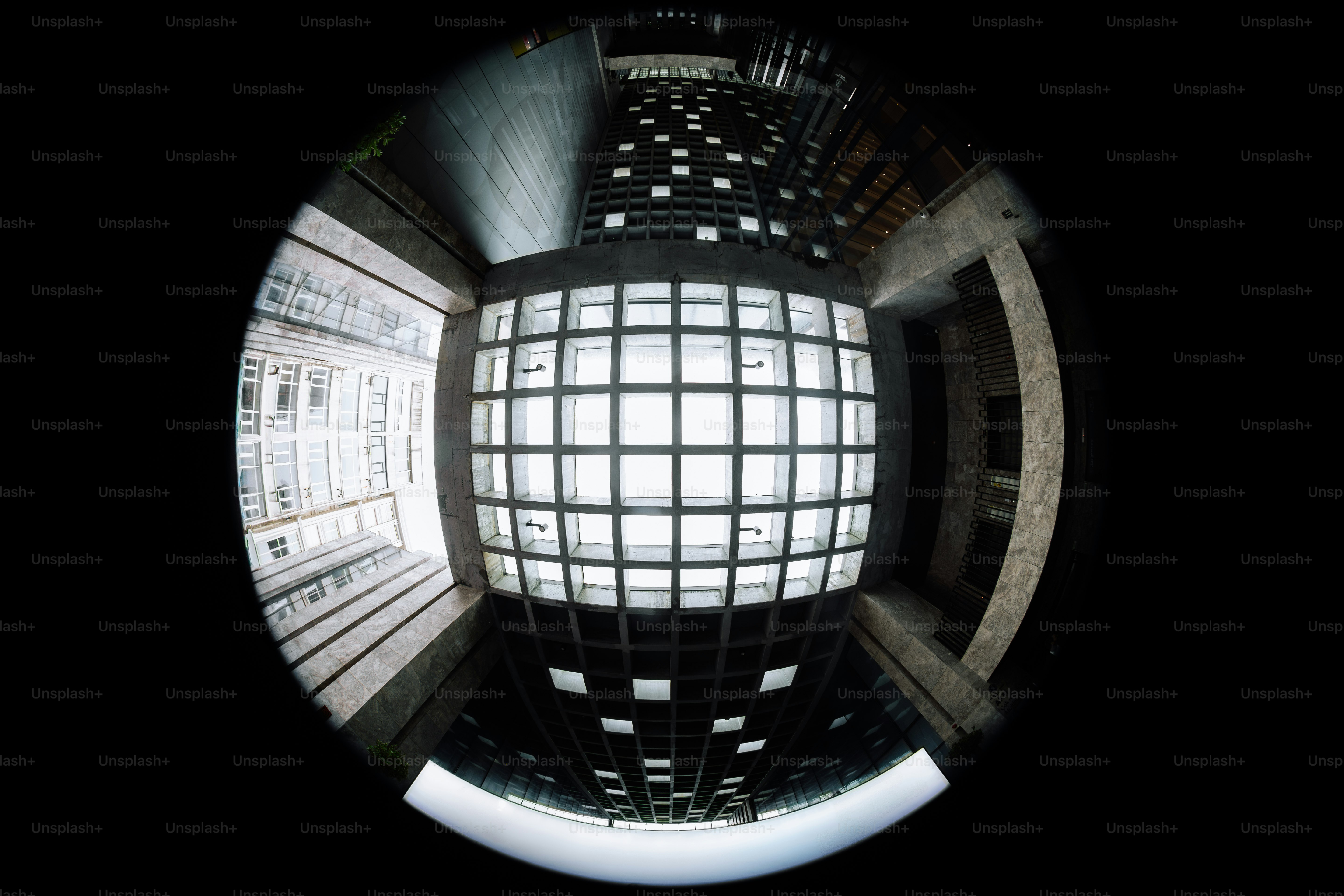 A fish eye view of a vegetable display photo – Distorted lens Image on ...