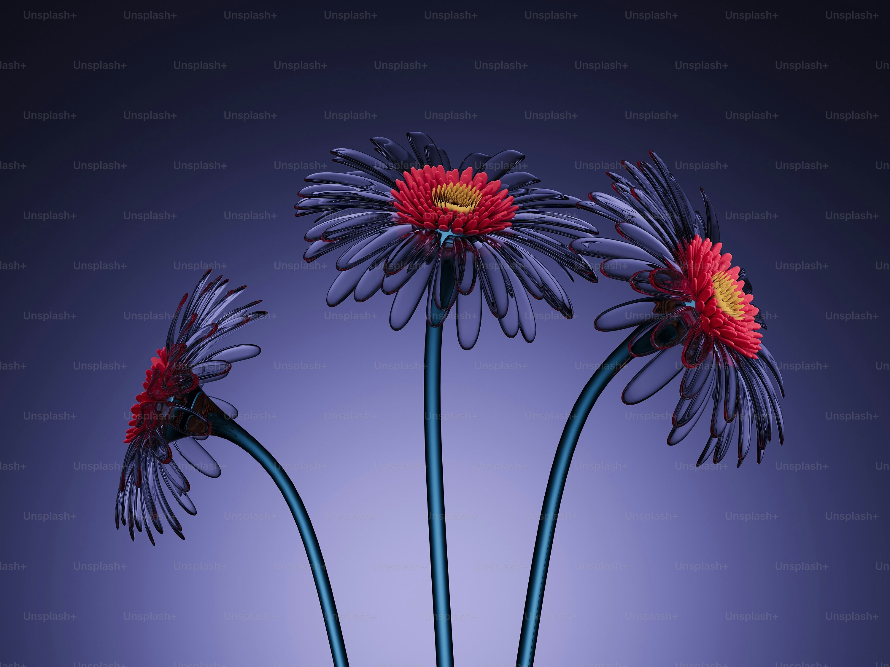 Three red and blue flowers in a blue vase photo – Botanicals Image on ...