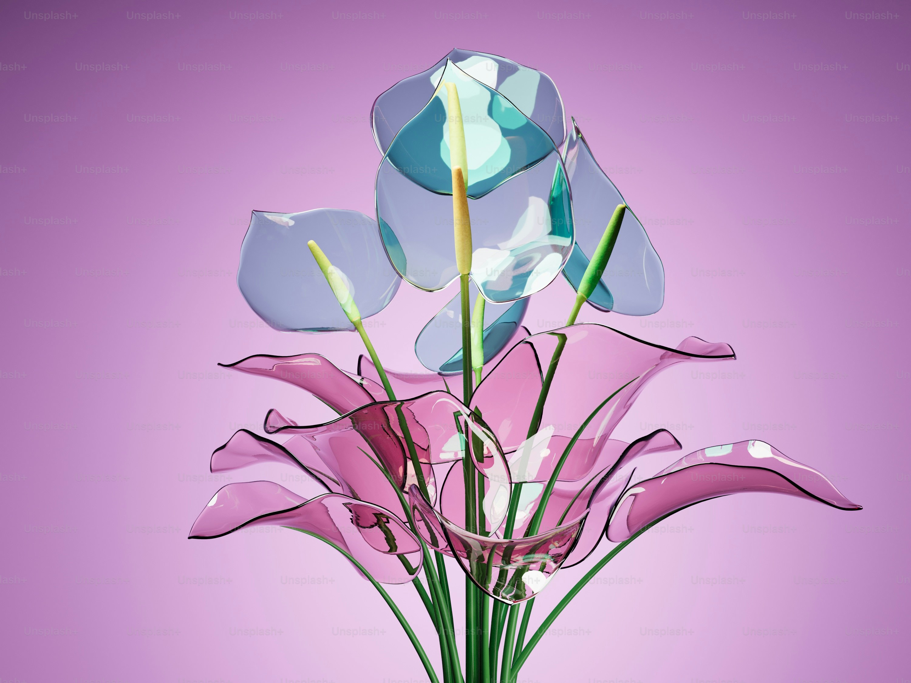 A vase filled with pink flowers on top of a table photo – Flower Image ...