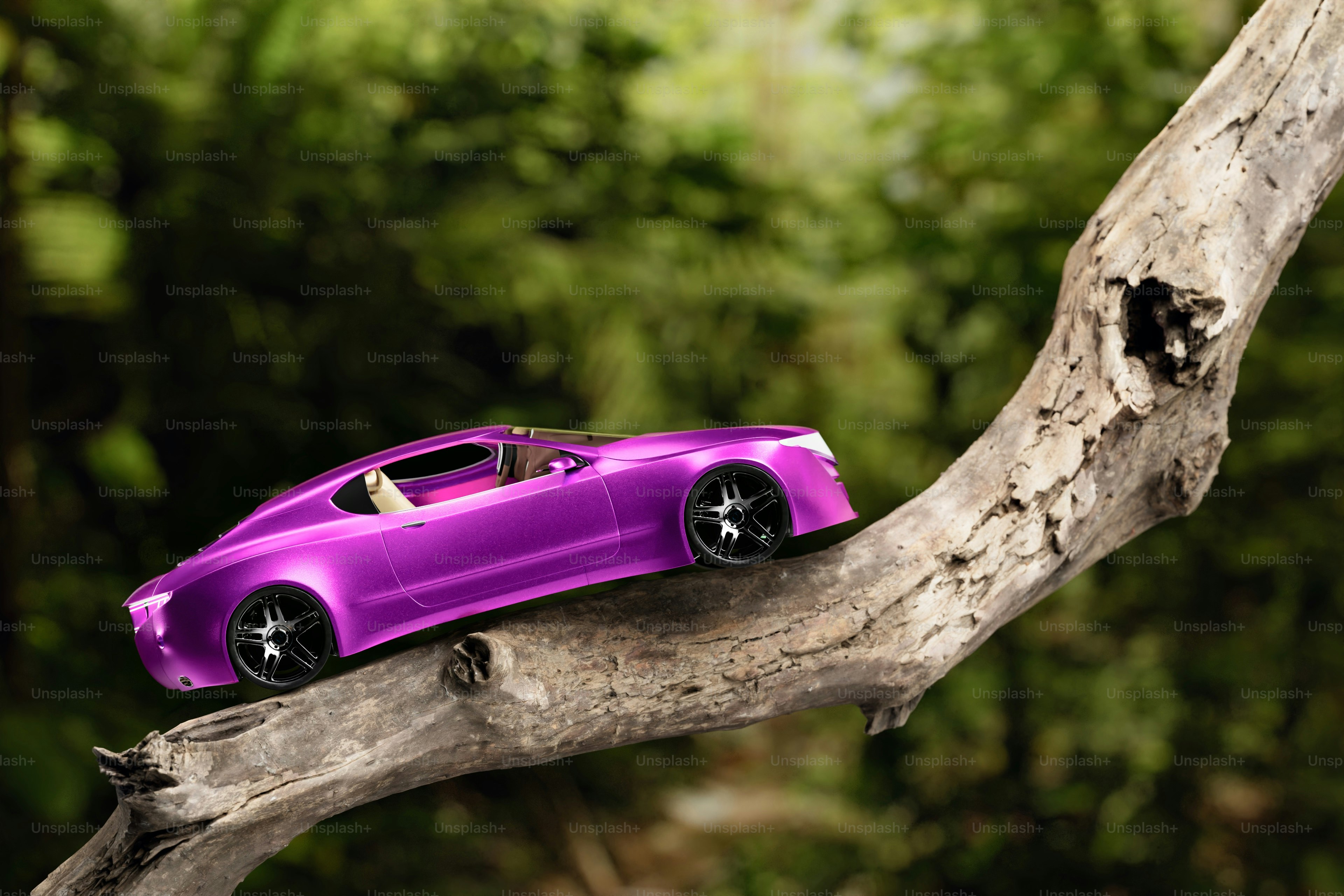 A purple toy car sitting on top of a tree branch photo – Cars Image on ...