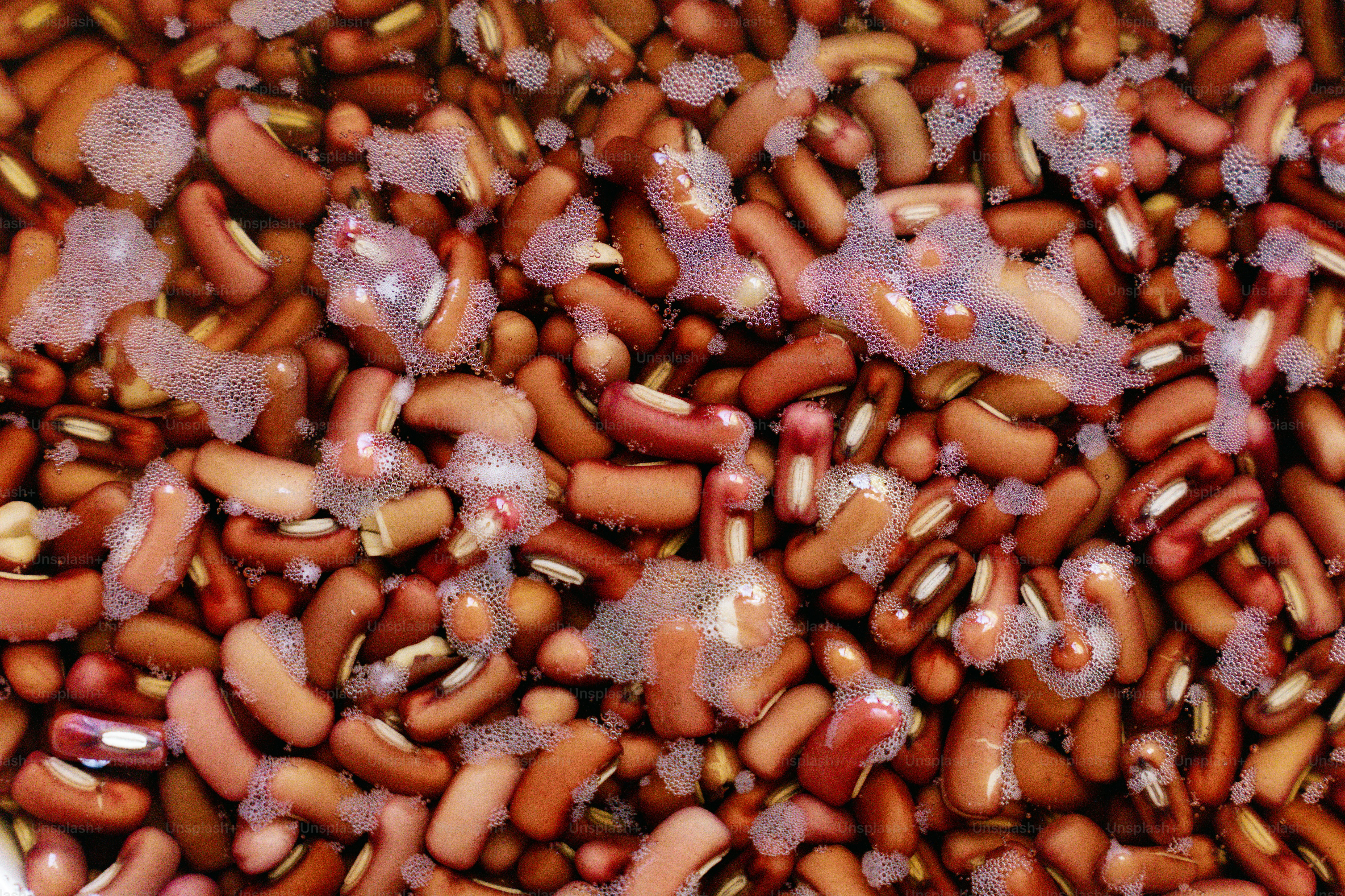 A bowl filled with lots of different kinds of beans photo – Food Image ...