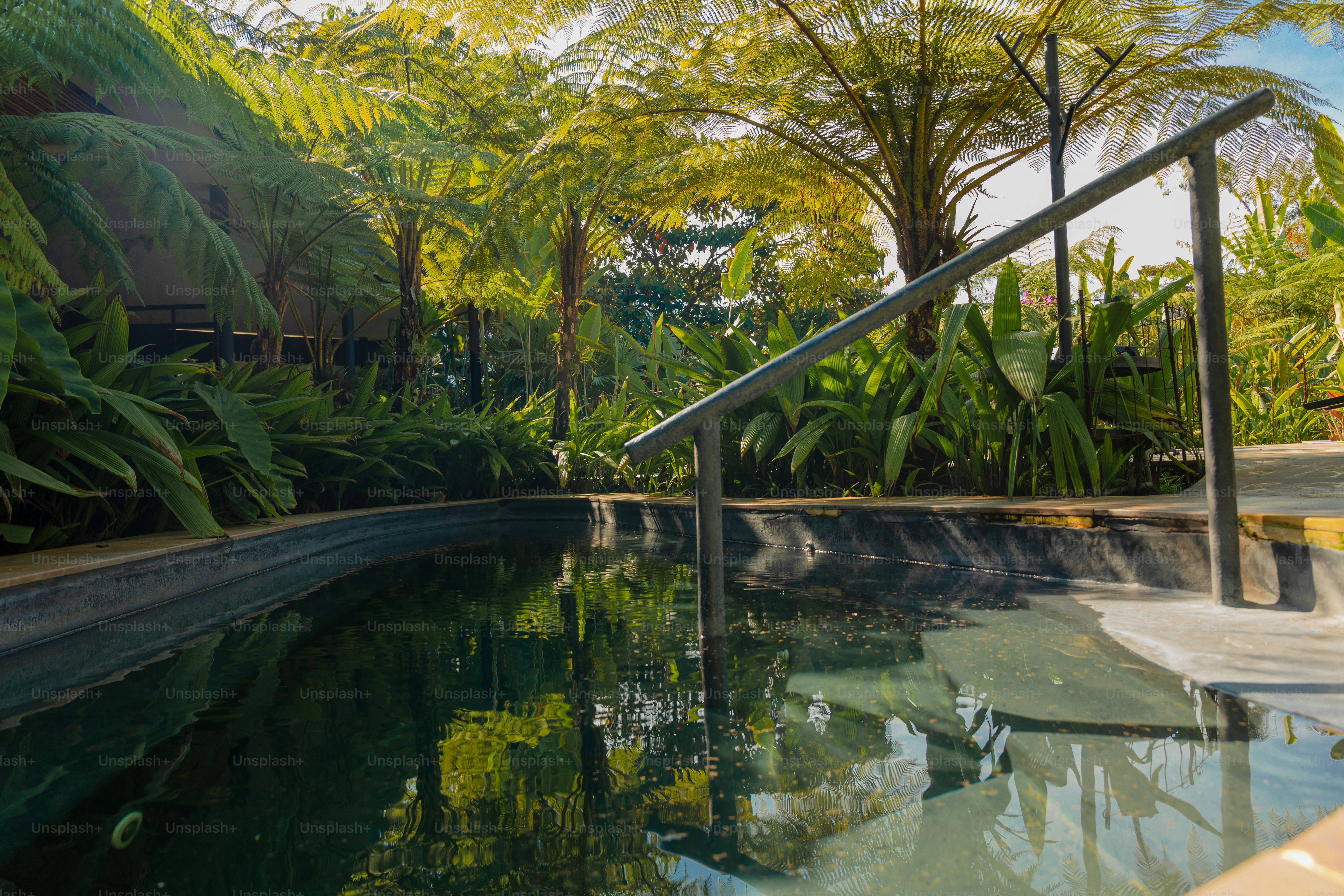 A pool surrounded by lush green trees and bushes photo – Travel Image ...