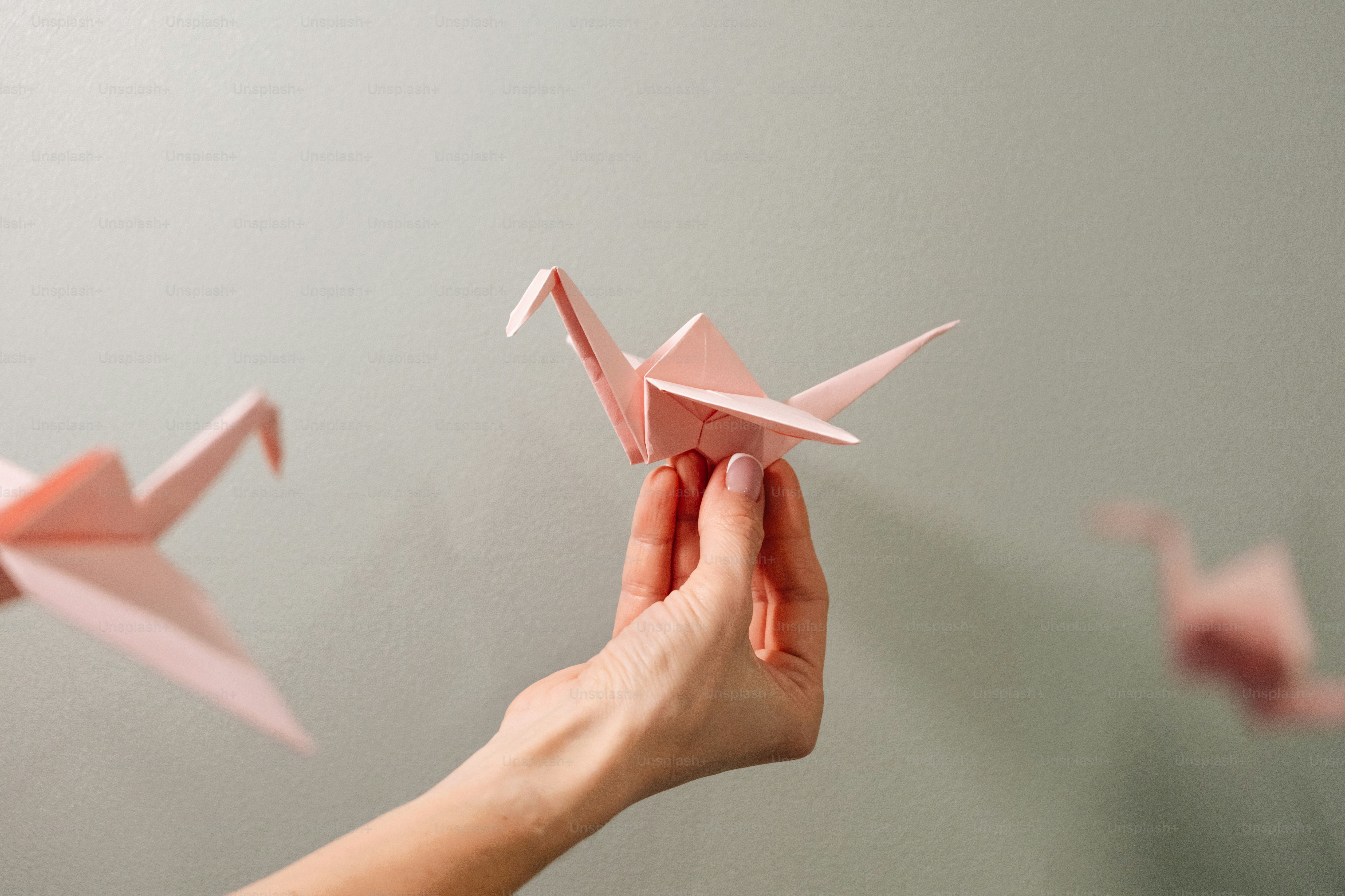 A person holding a pink origami bird photo – Origami Image on Unsplash