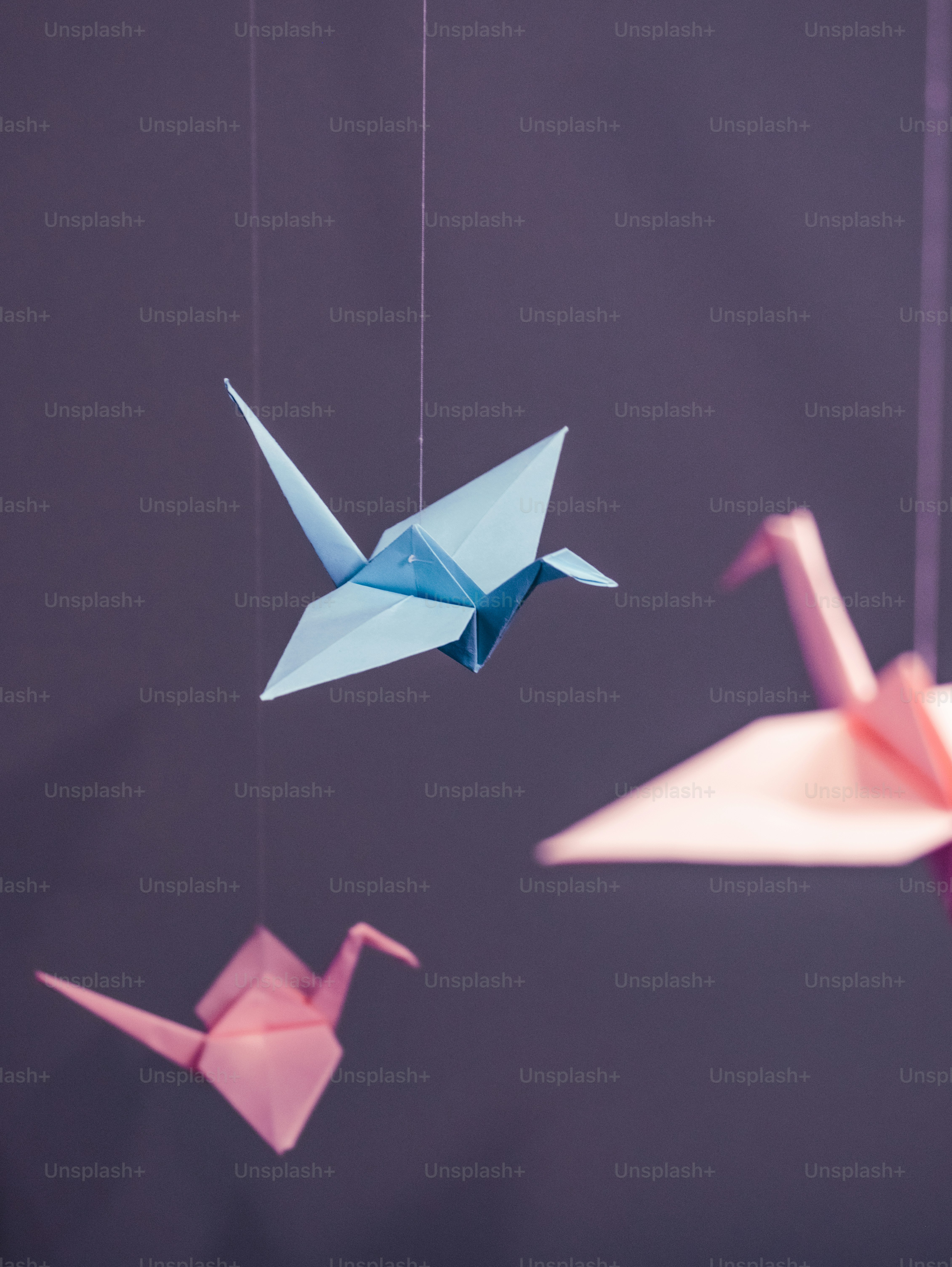 A group of origami birds hanging from strings photo – Art Image on Unsplash