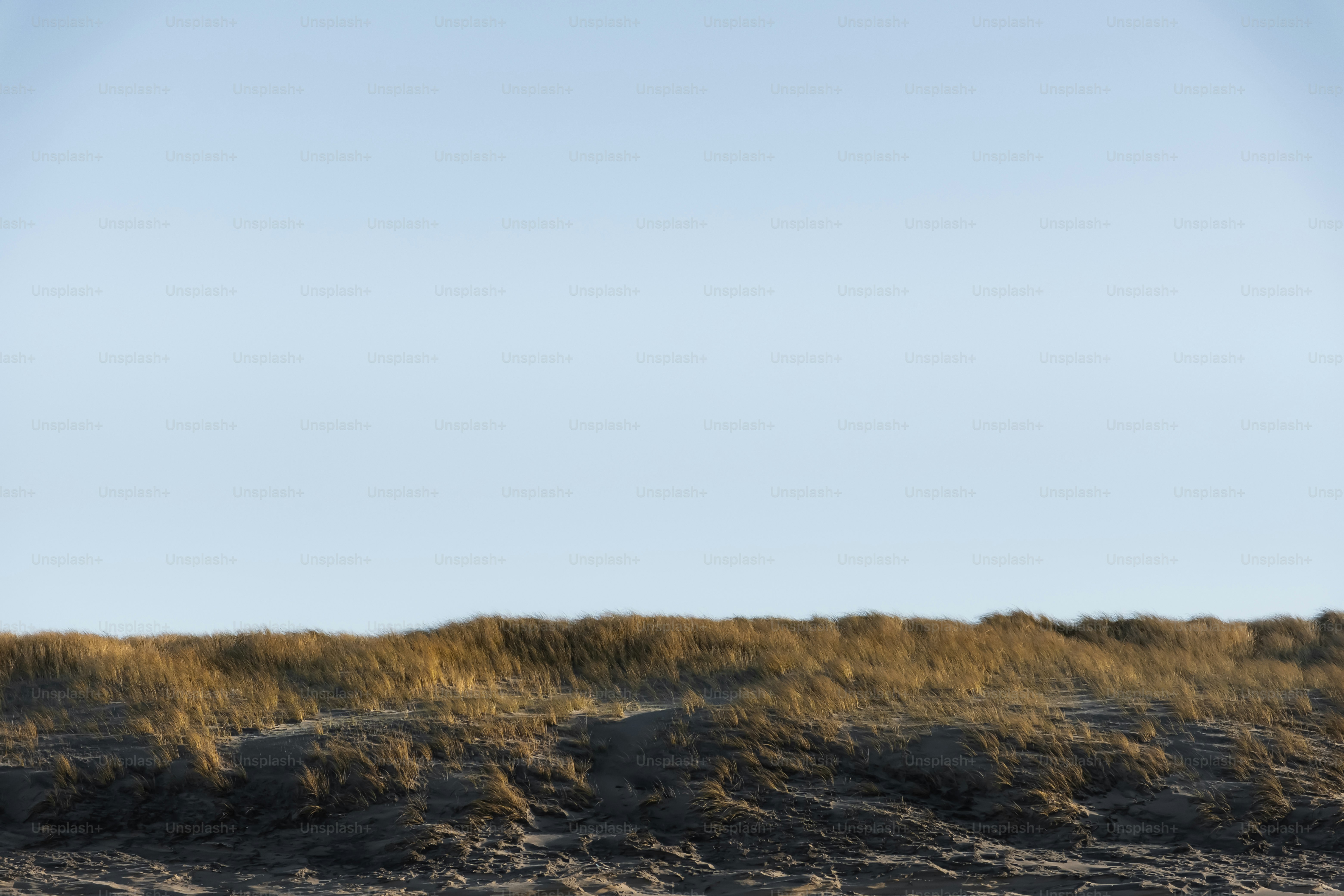A man riding a horse across a sandy field photo – Denmark Image on Unsplash
