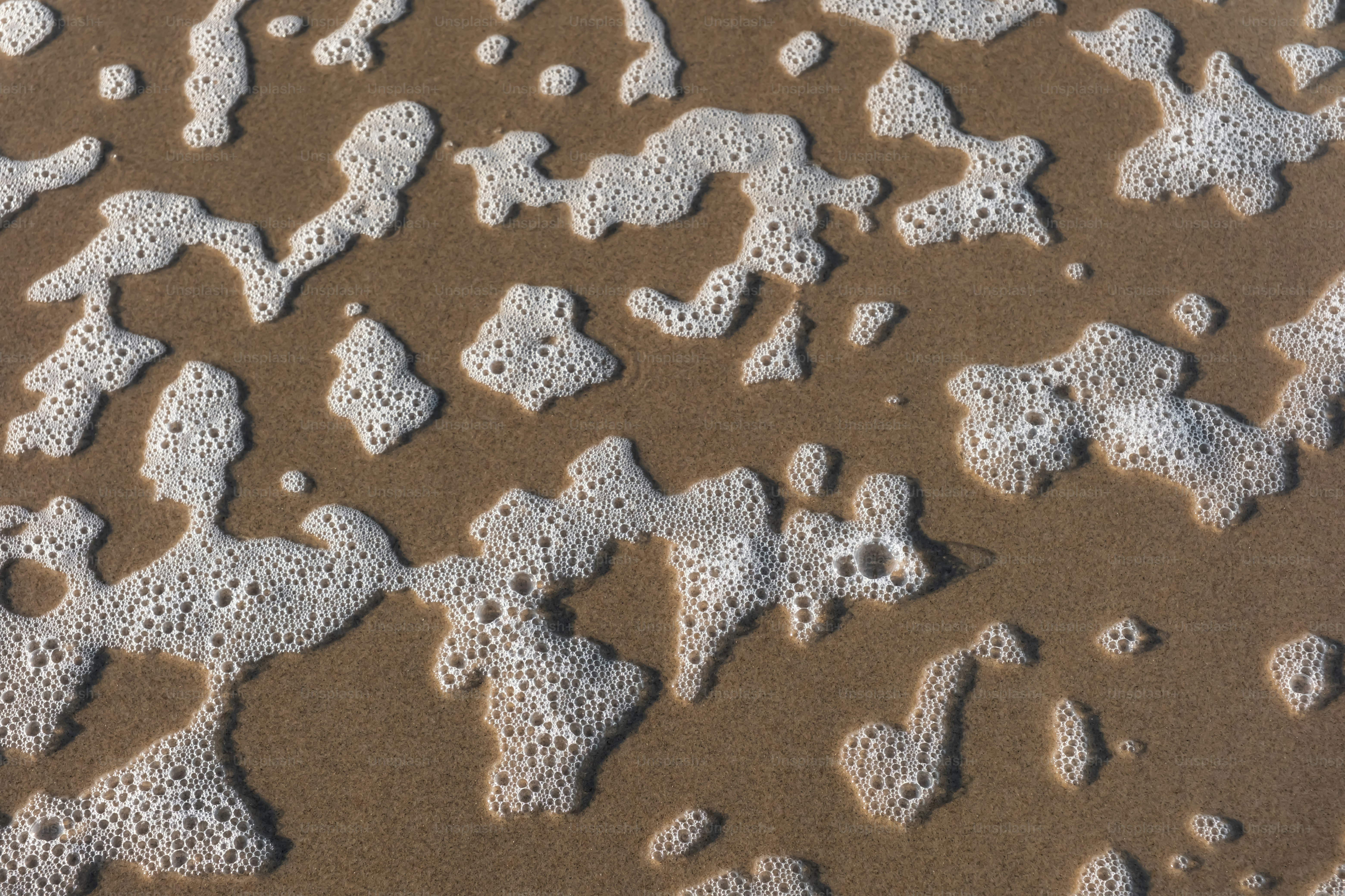 A sandy beach covered in lots of white sand photo – Denmark Image on ...