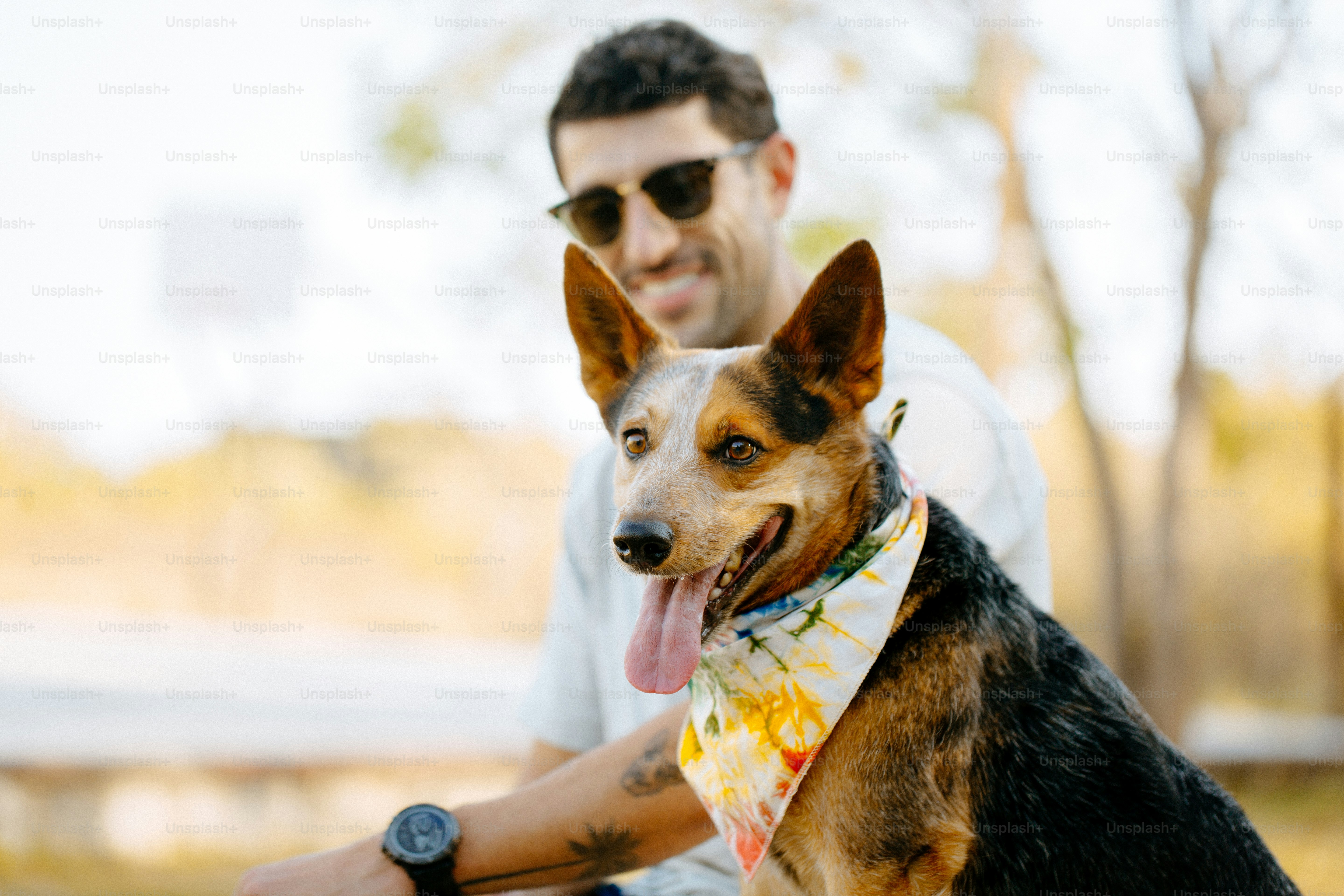 A man sitting on a bench with his dog photo – Dog Image on Unsplash