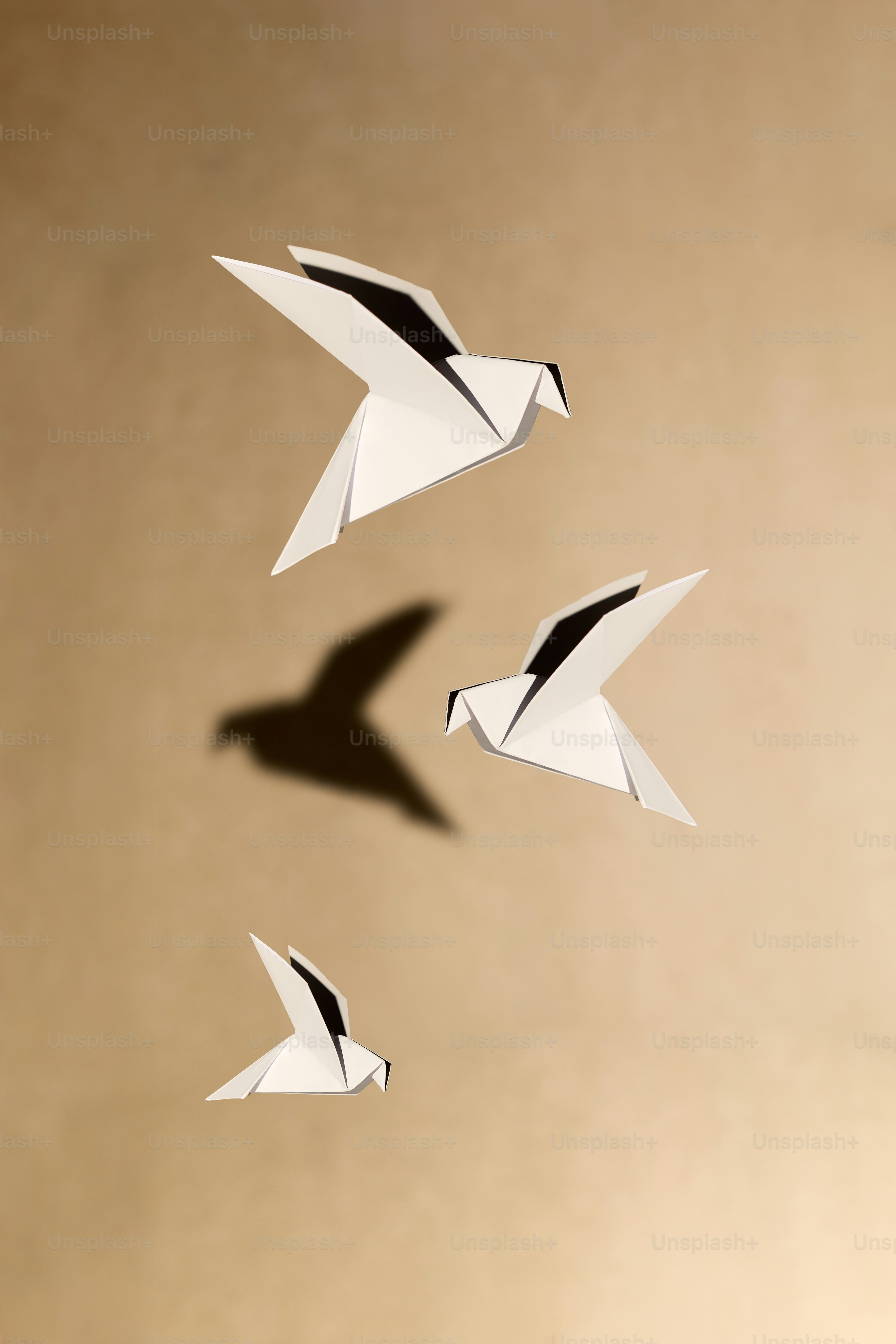 Three white origami birds flying in the air photo – Origami Image on ...