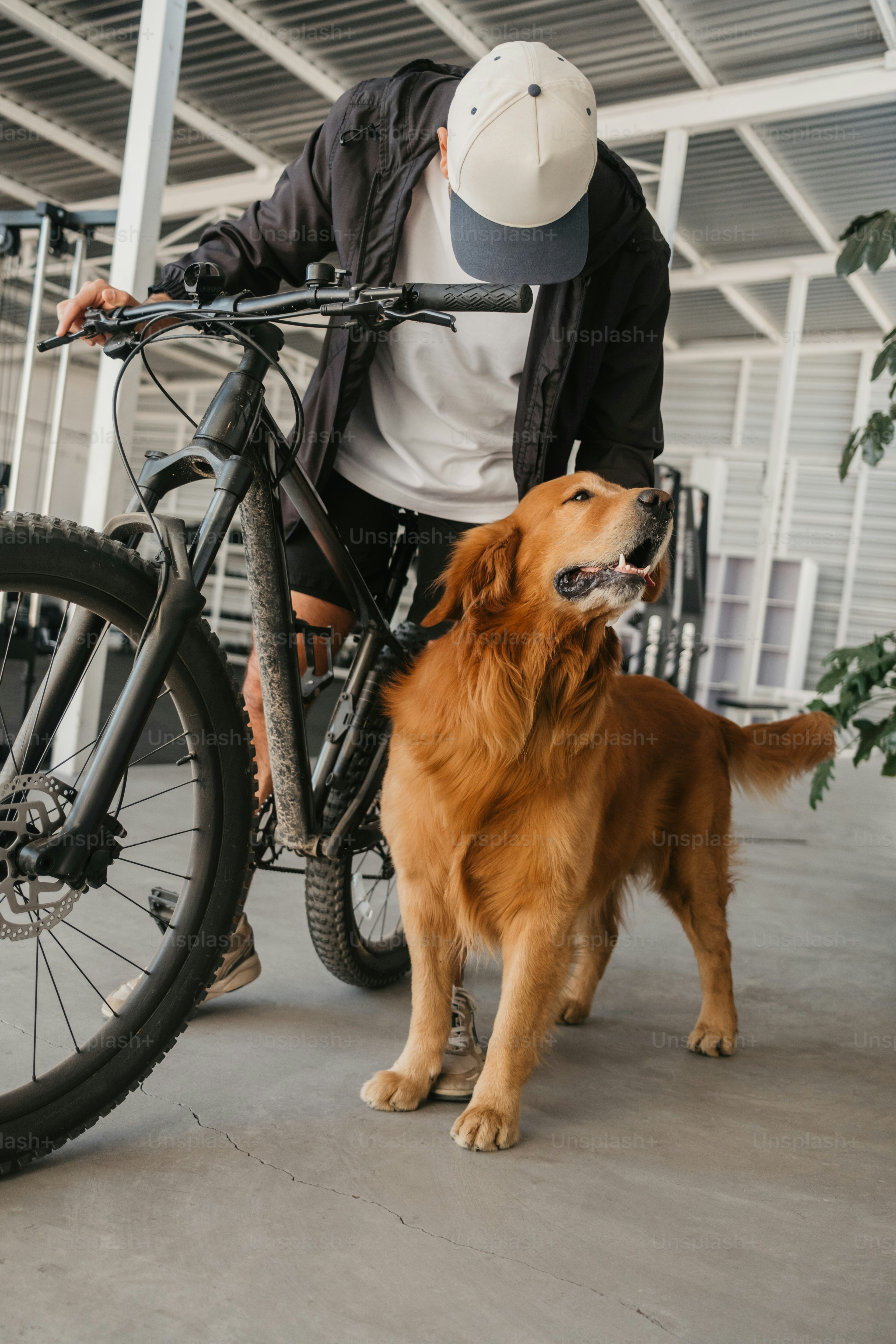 Un hombre montando en bicicleta con un perro parado a su lado foto ...