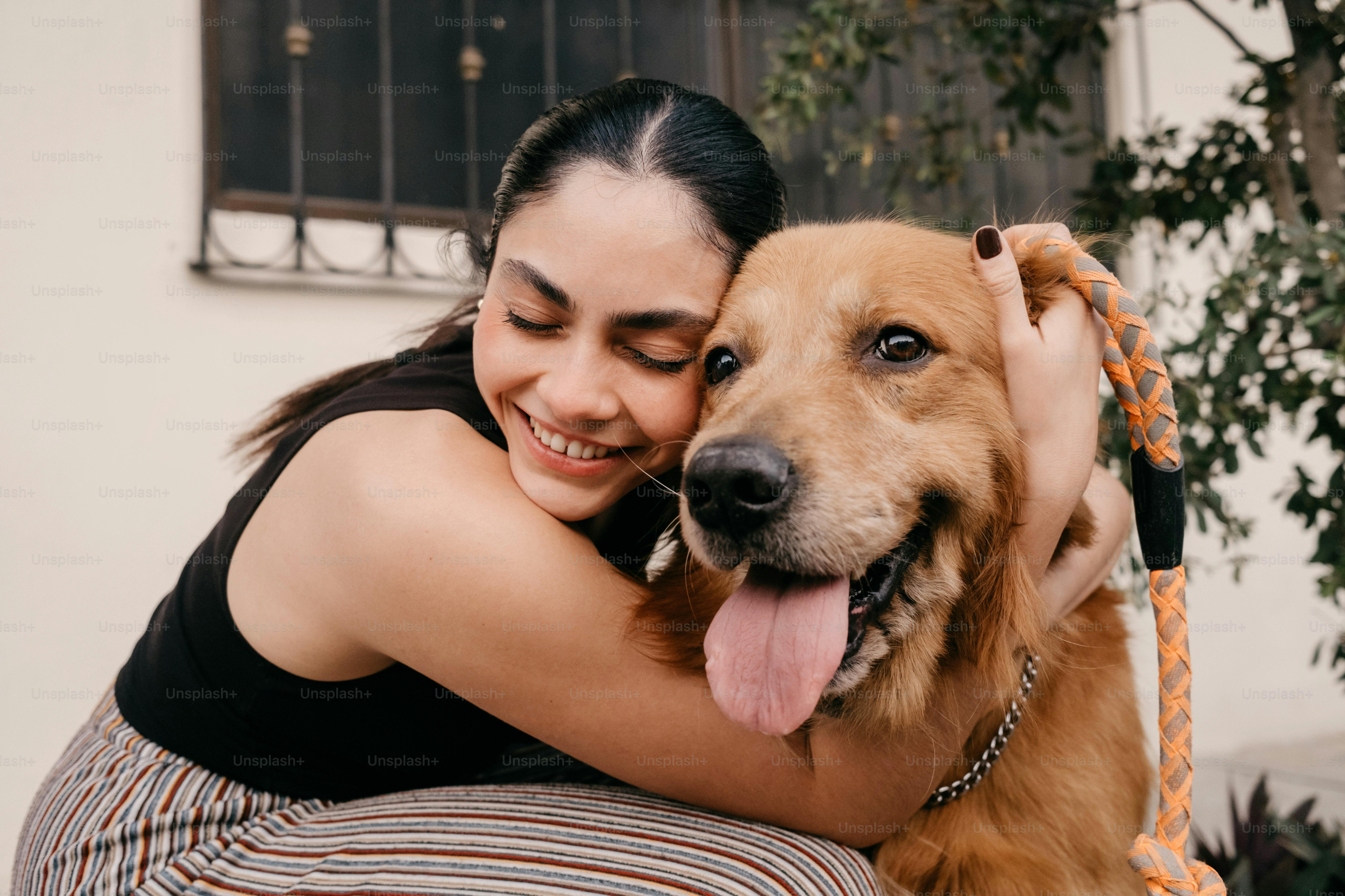 A woman hugging a dog on the back of a couch photo – Dog Image on Unsplash