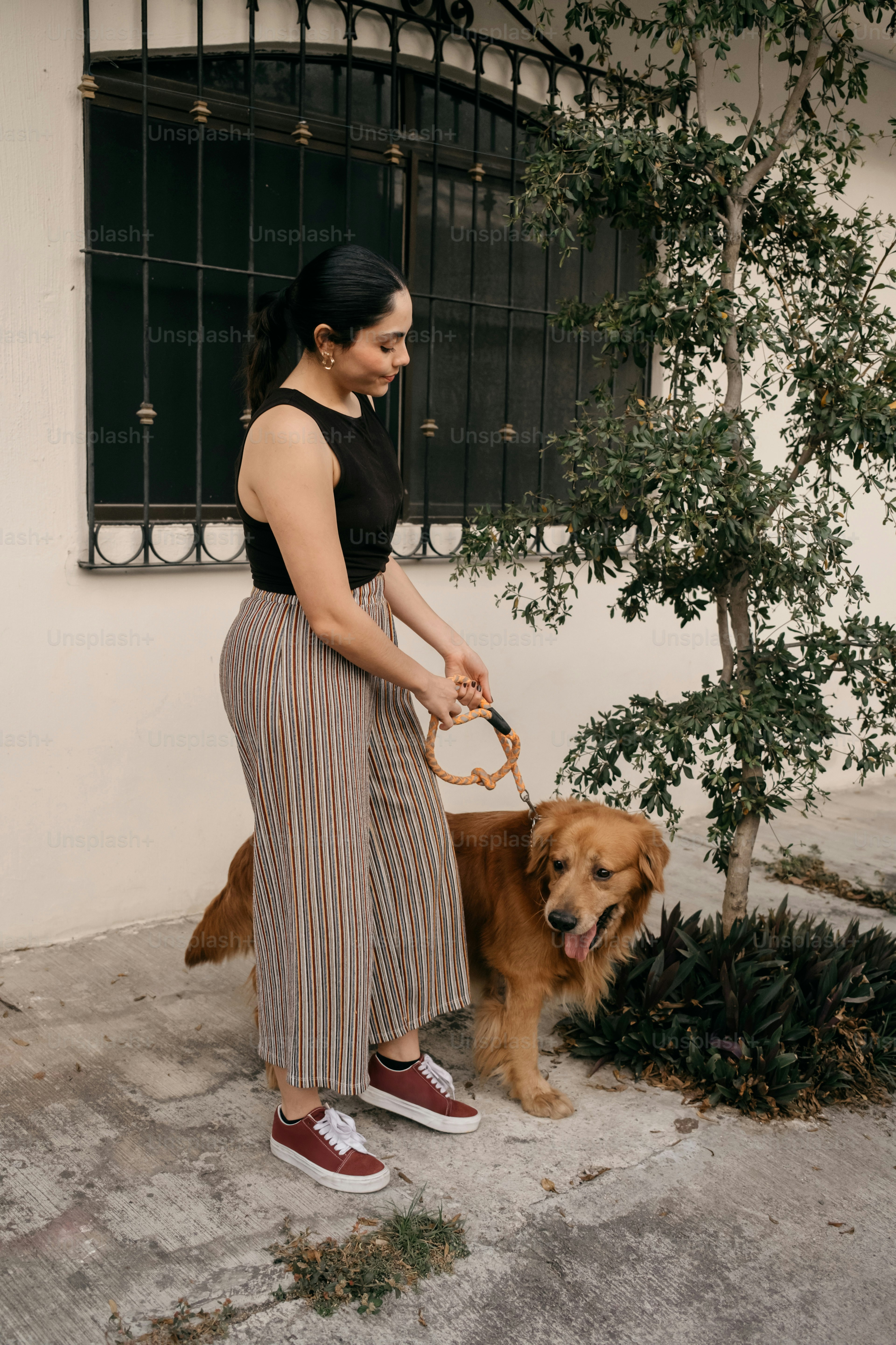 A woman walking a dog on a leash photo – Dog Image on Unsplash