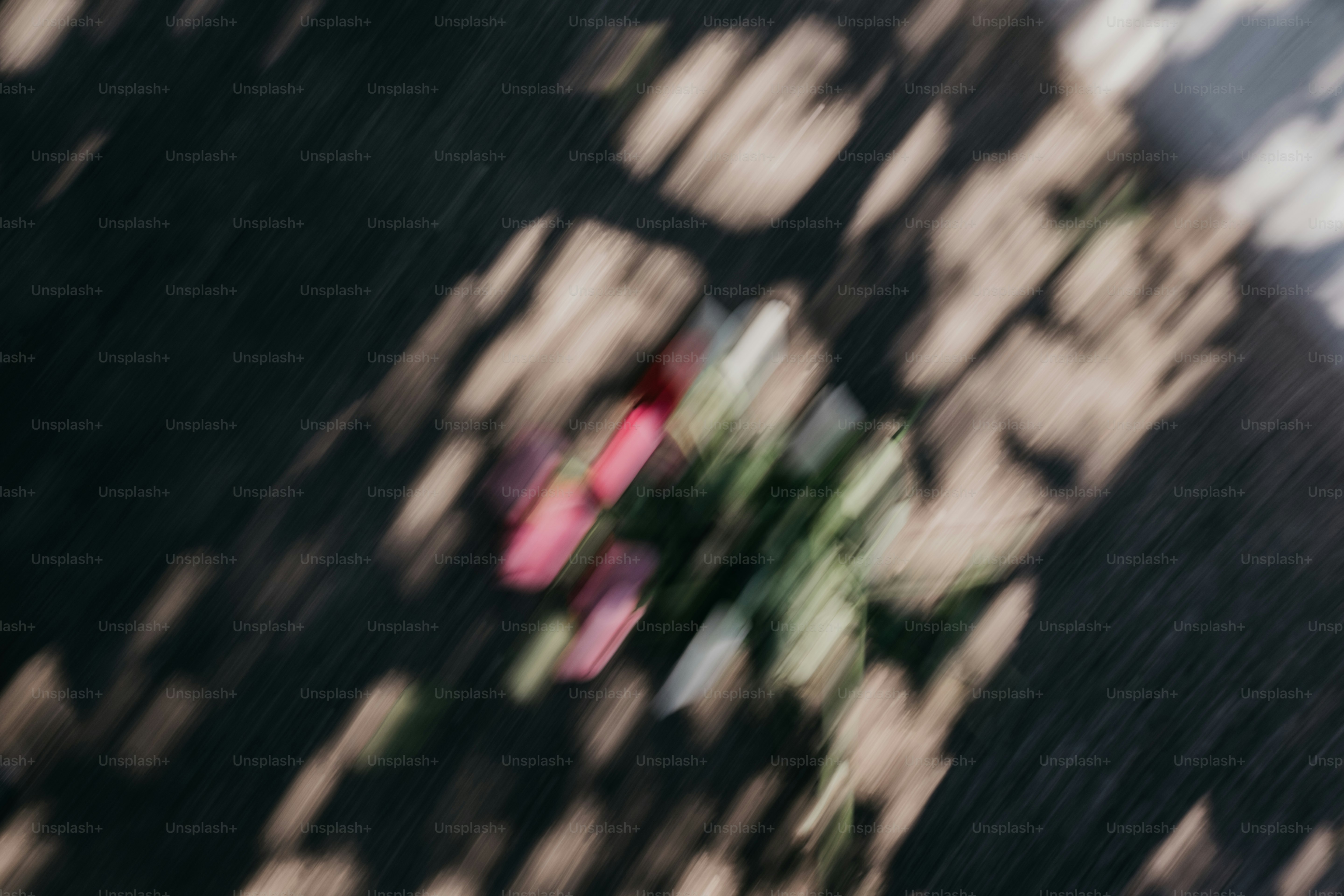 A blurry photo of a tree with a blue sky in the background photo – Blur ...