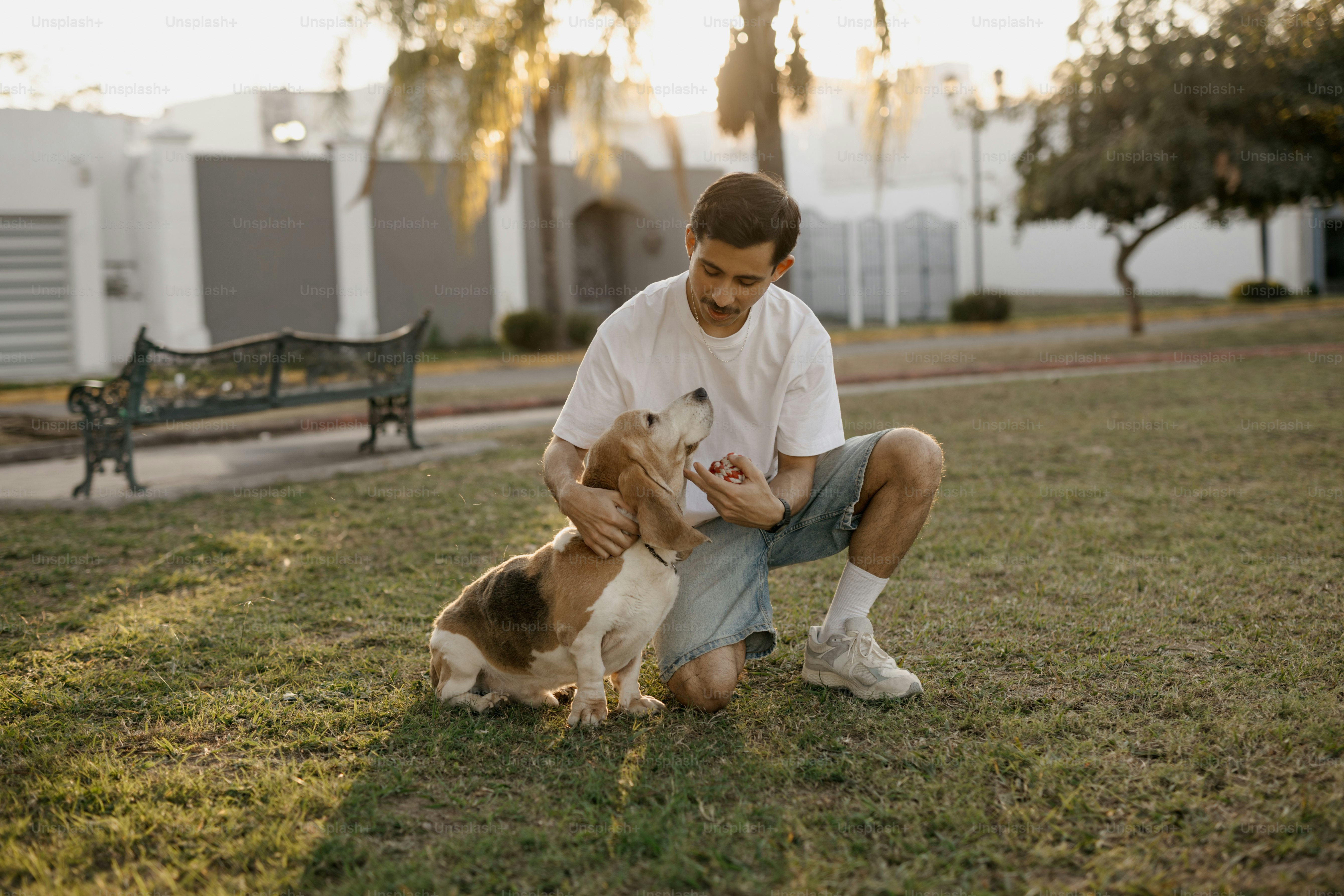 A man kneeling down next to a dog on a field photo – Basset hound Image ...