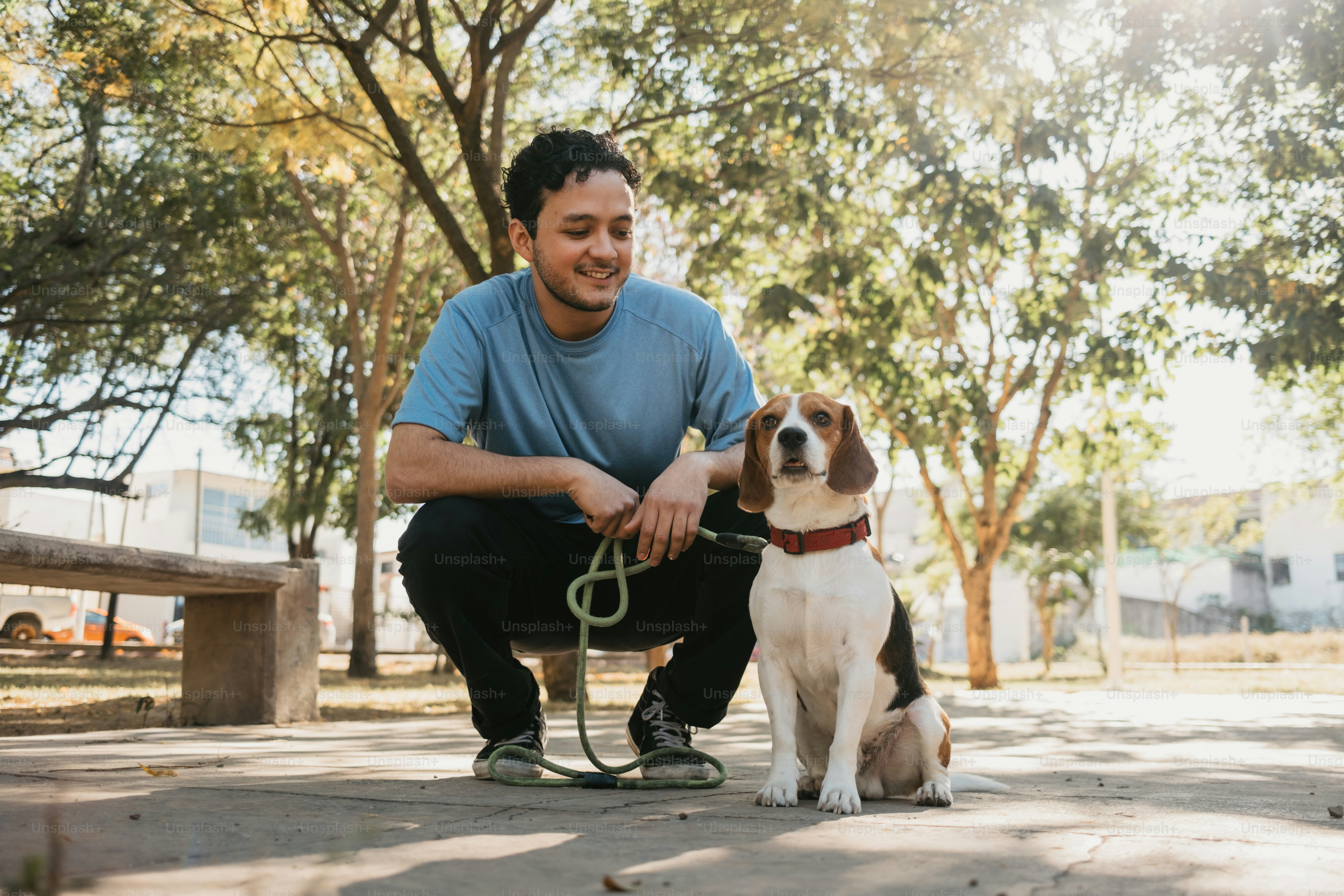 Un hombre sostiene a dos perros pequeños con una correa foto – Imagen ...