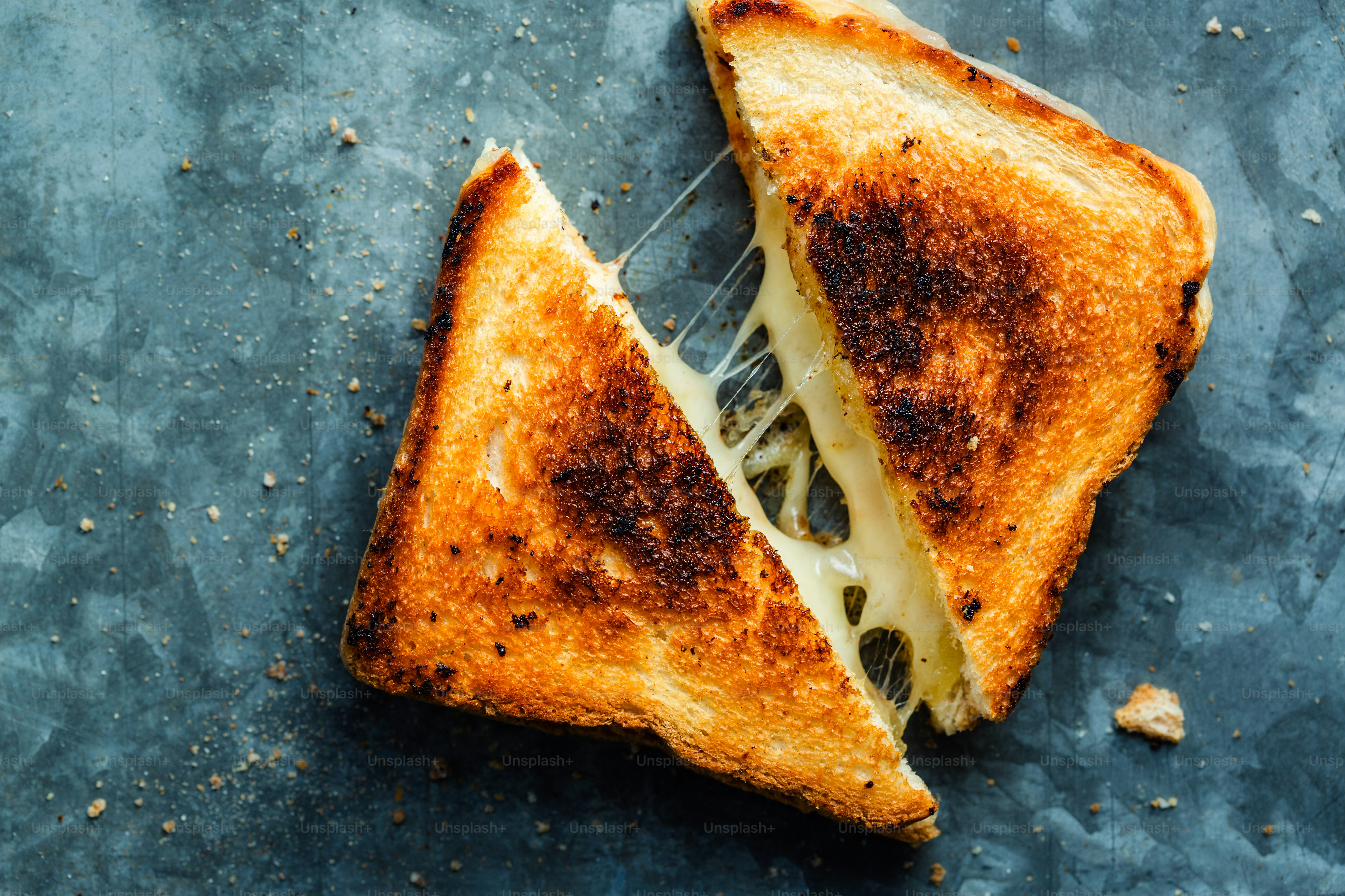 A grilled cheese sandwich cut in half photo – Sandwiches Image on Unsplash