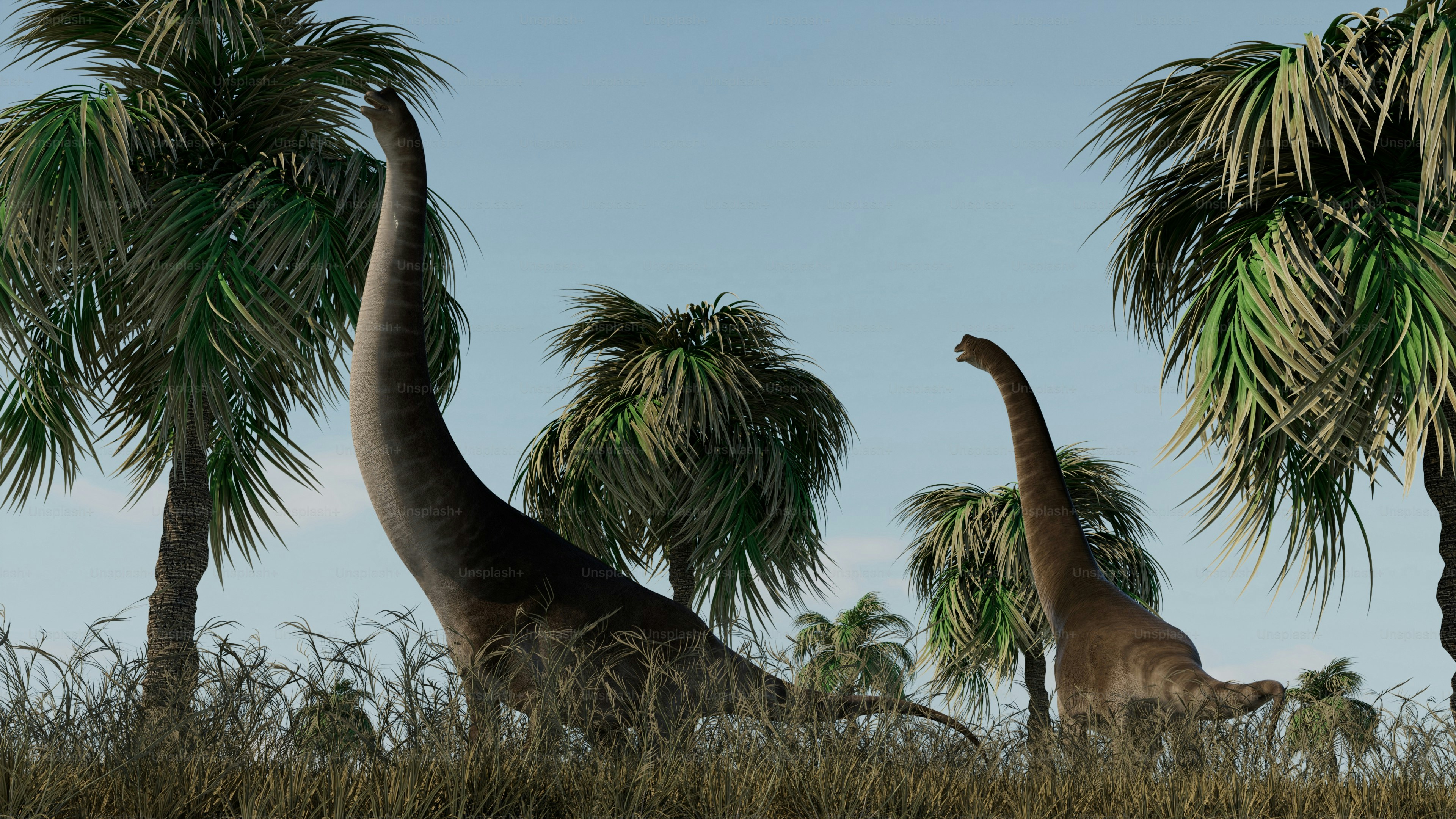 Two brachiosaurus dinosaurs roam among palm trees. photo – 3d render Image on Unsplash