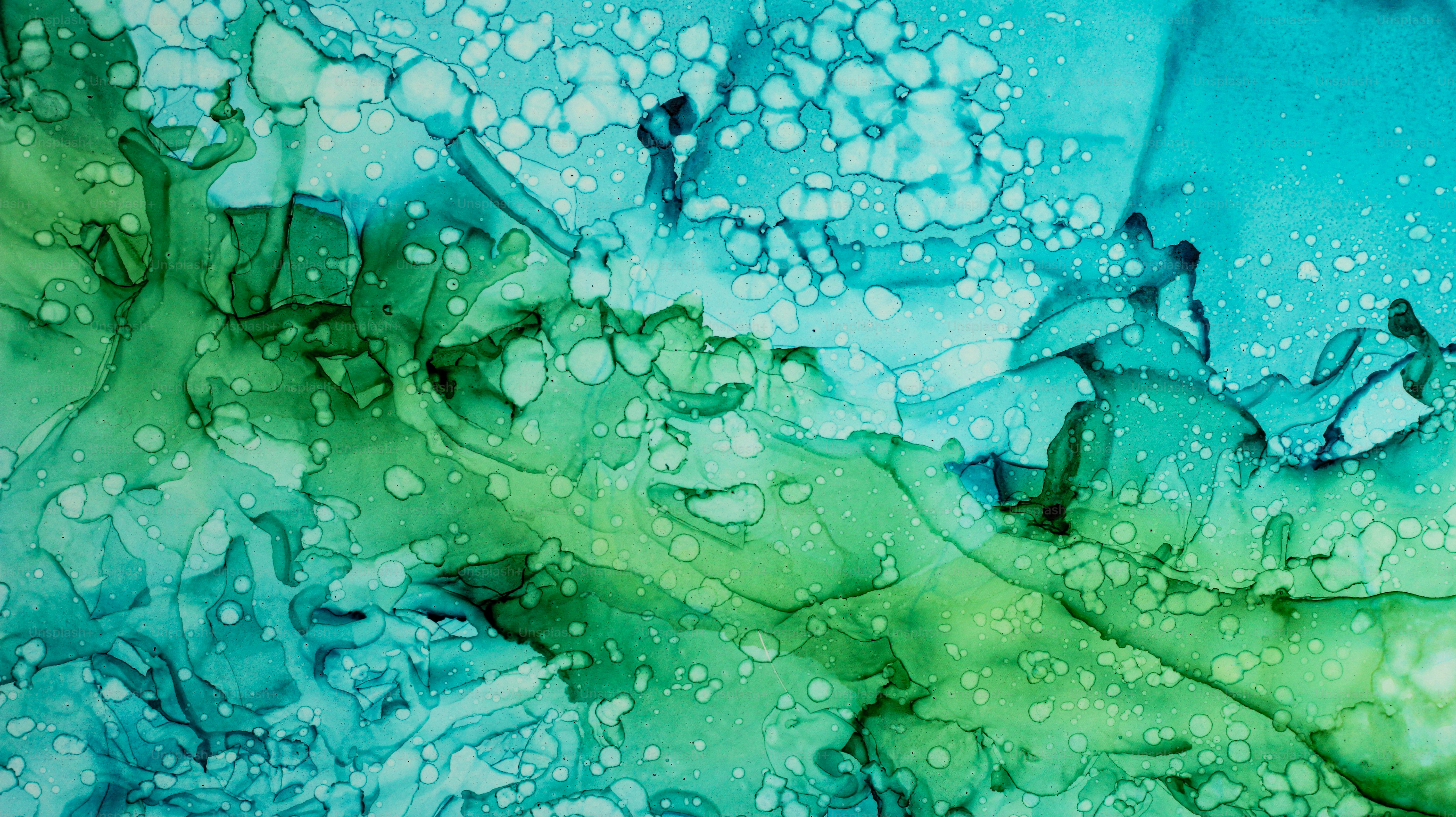 Susan Wilkinson (@susan_wilkinson) | Unsplash 사진 커뮤니티