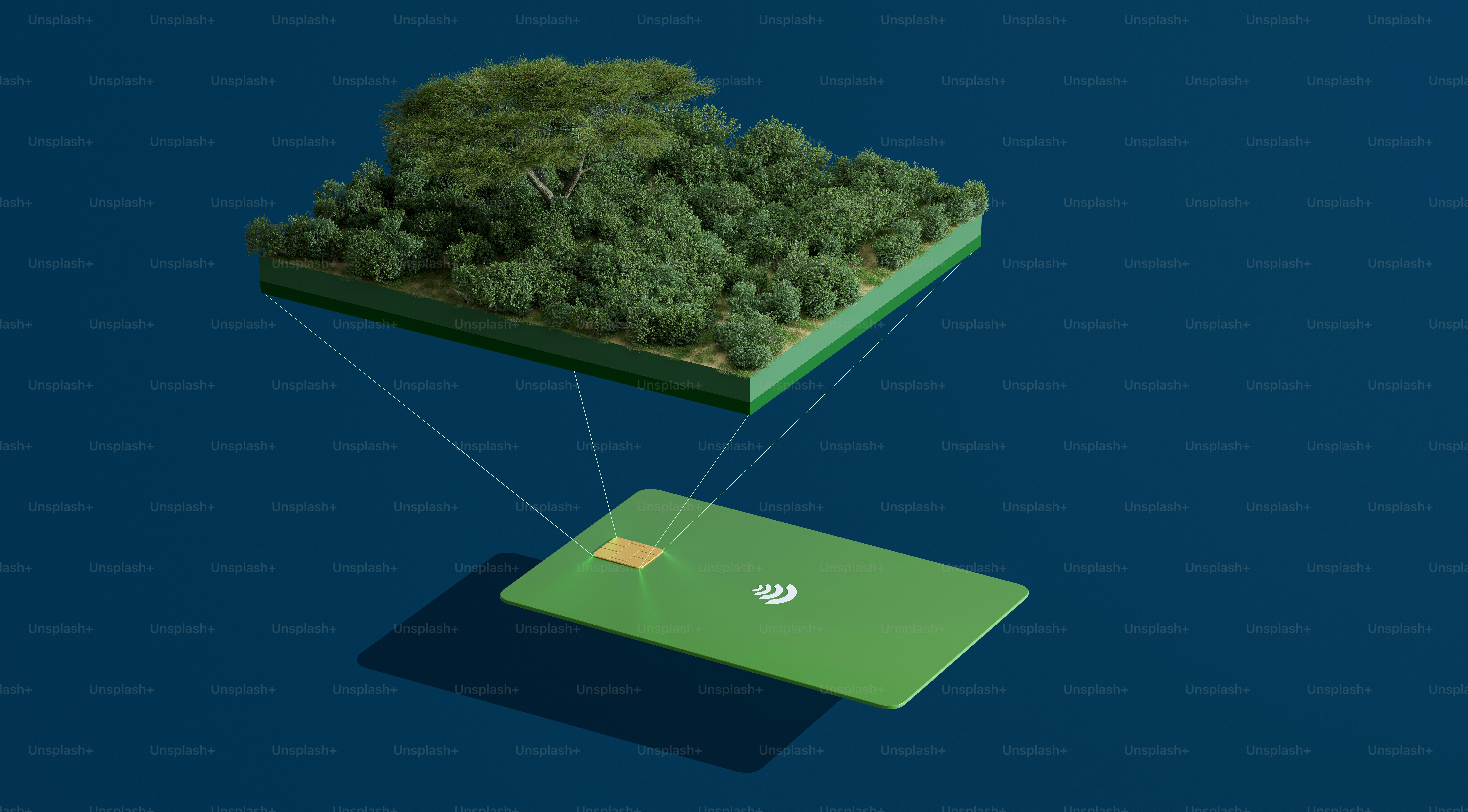 Forest and its ecosystem above a computer chip. photo – Finance Image ...