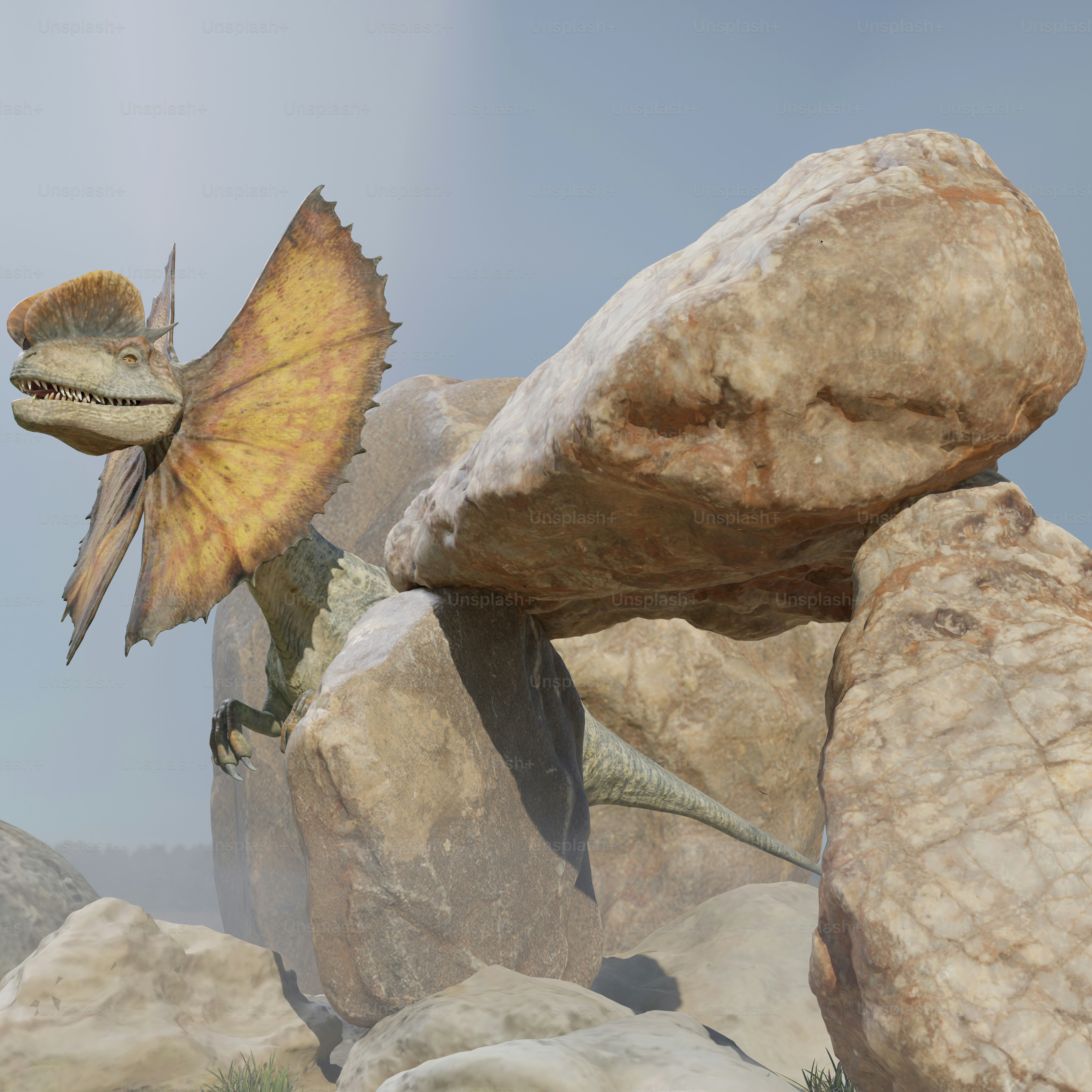 El Dilophosaurus se asoma detrás de una roca. foto – Imagen de ...