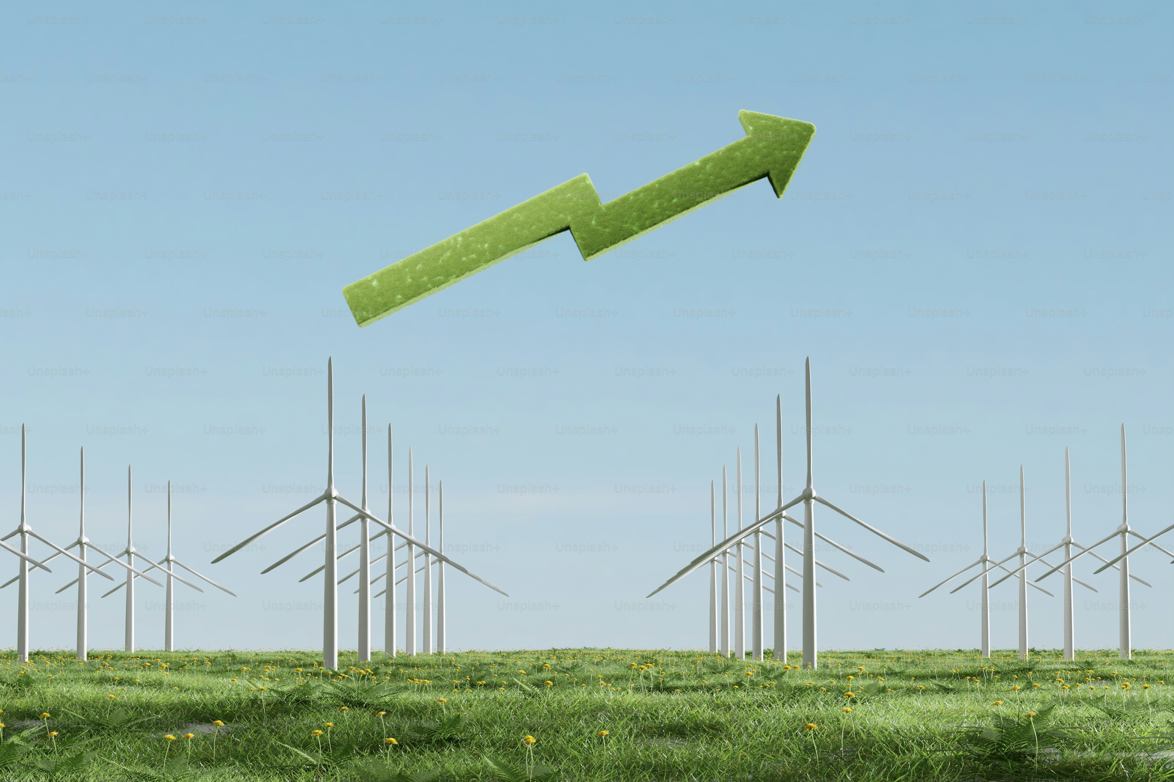 Currency symbols rise above foliage. photo – Technology Image on Unsplash