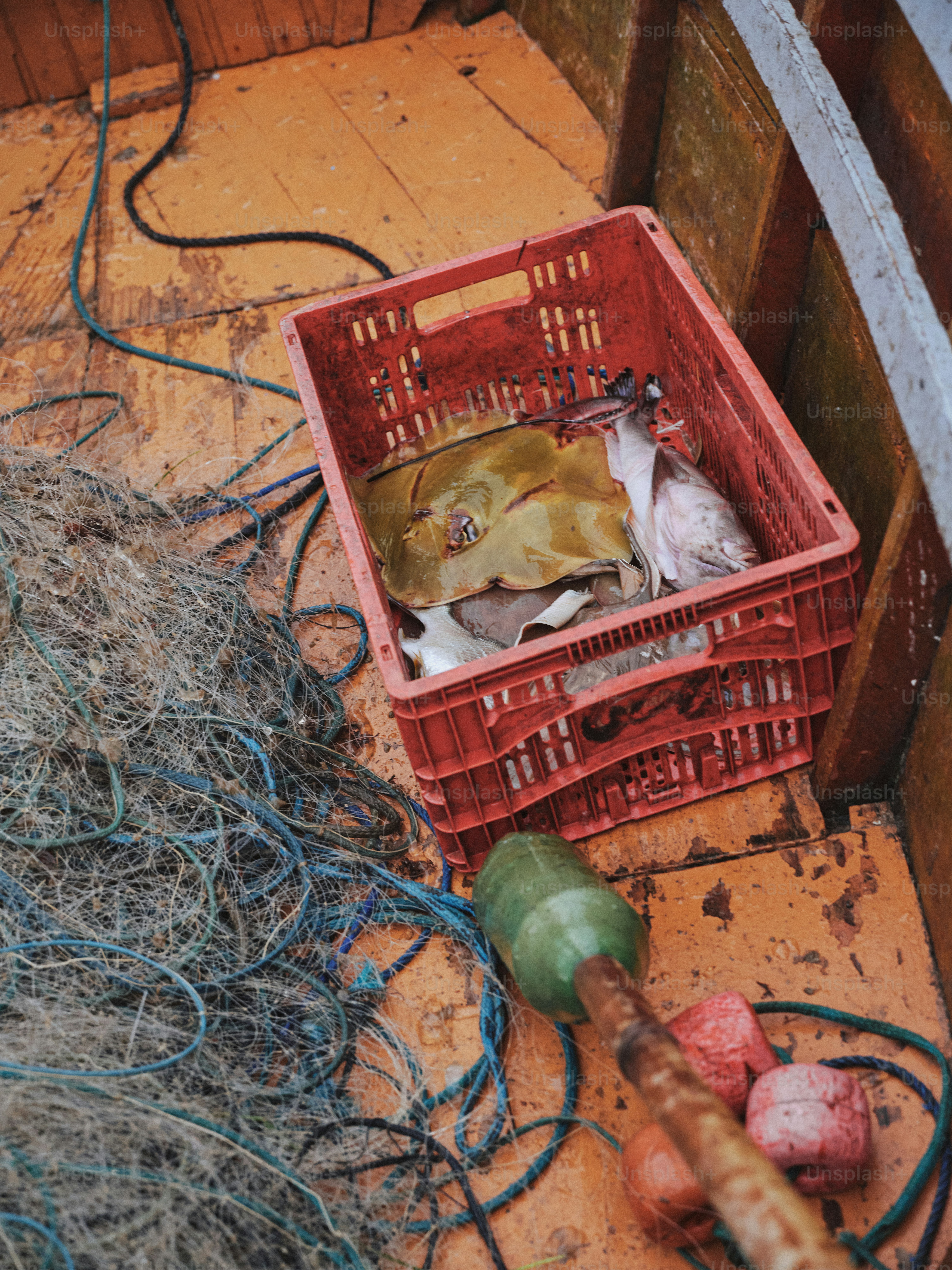 Fishing gear and catch rest on the boat. photo – Fishing Image on Unsplash
