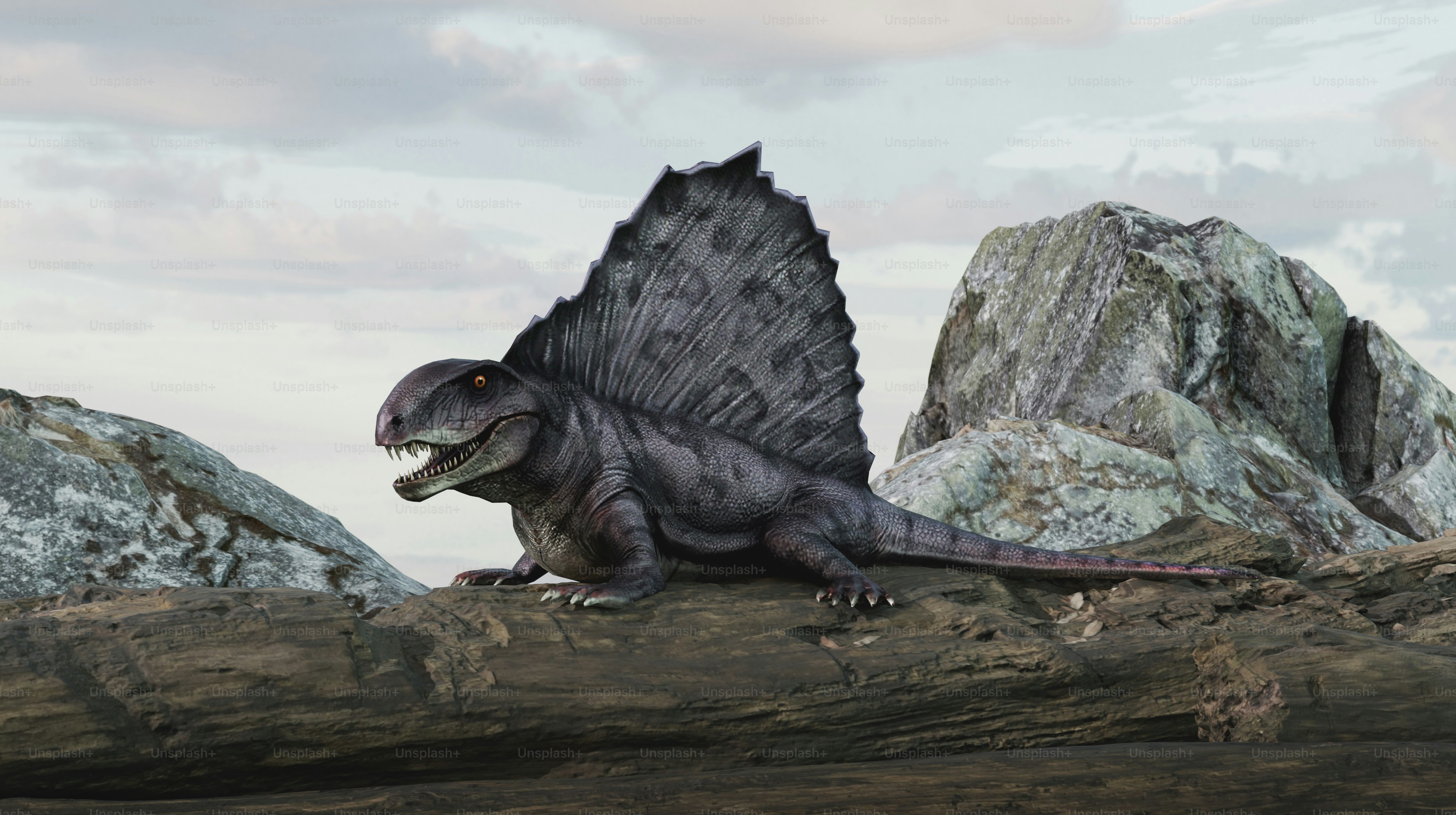 A dimetrodon rests near rocks in its habitat. photo – 3d render Image on Unsplash