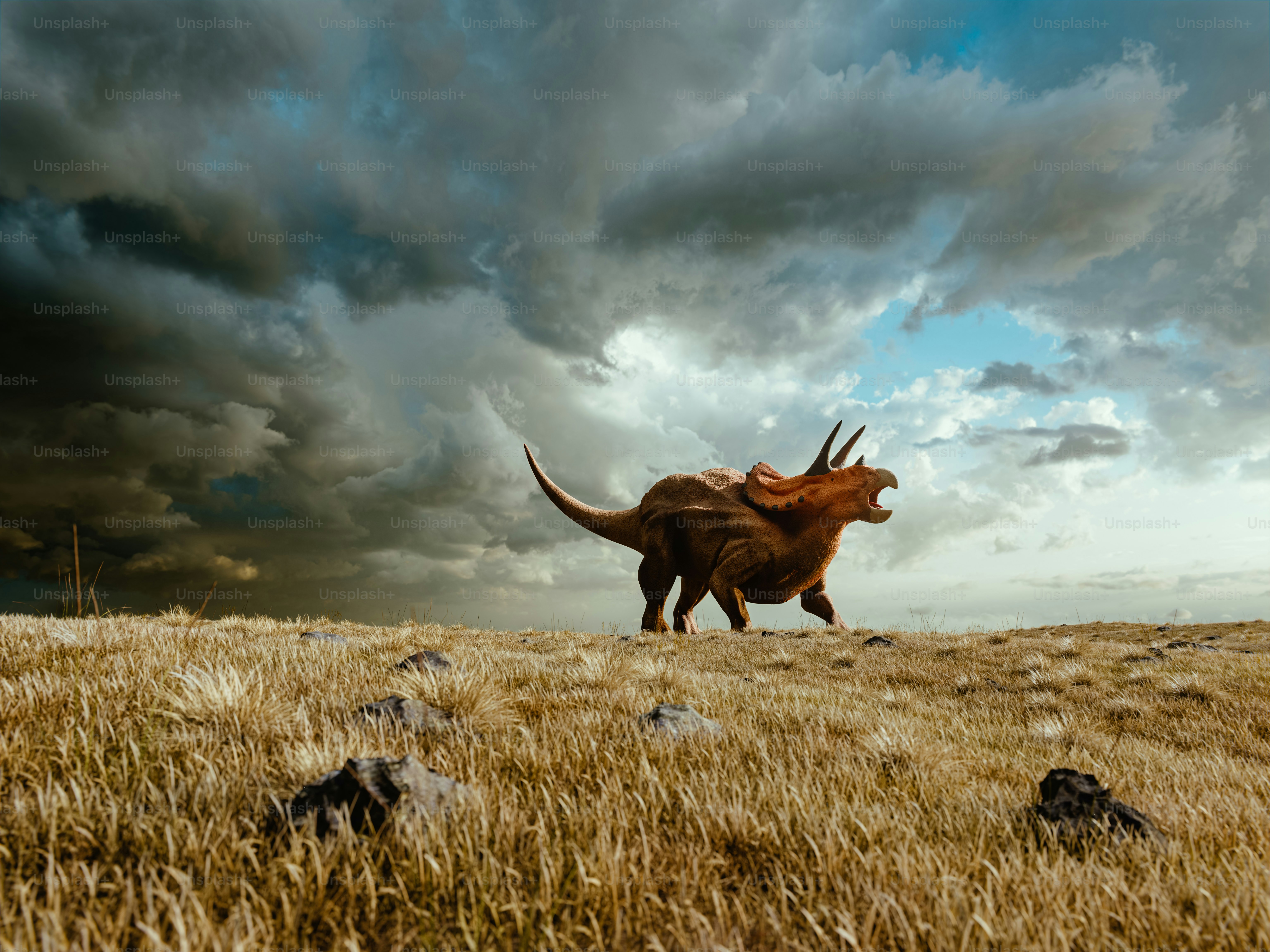 A triceratops runs across a field under a storm. photo – Wallpaper ...