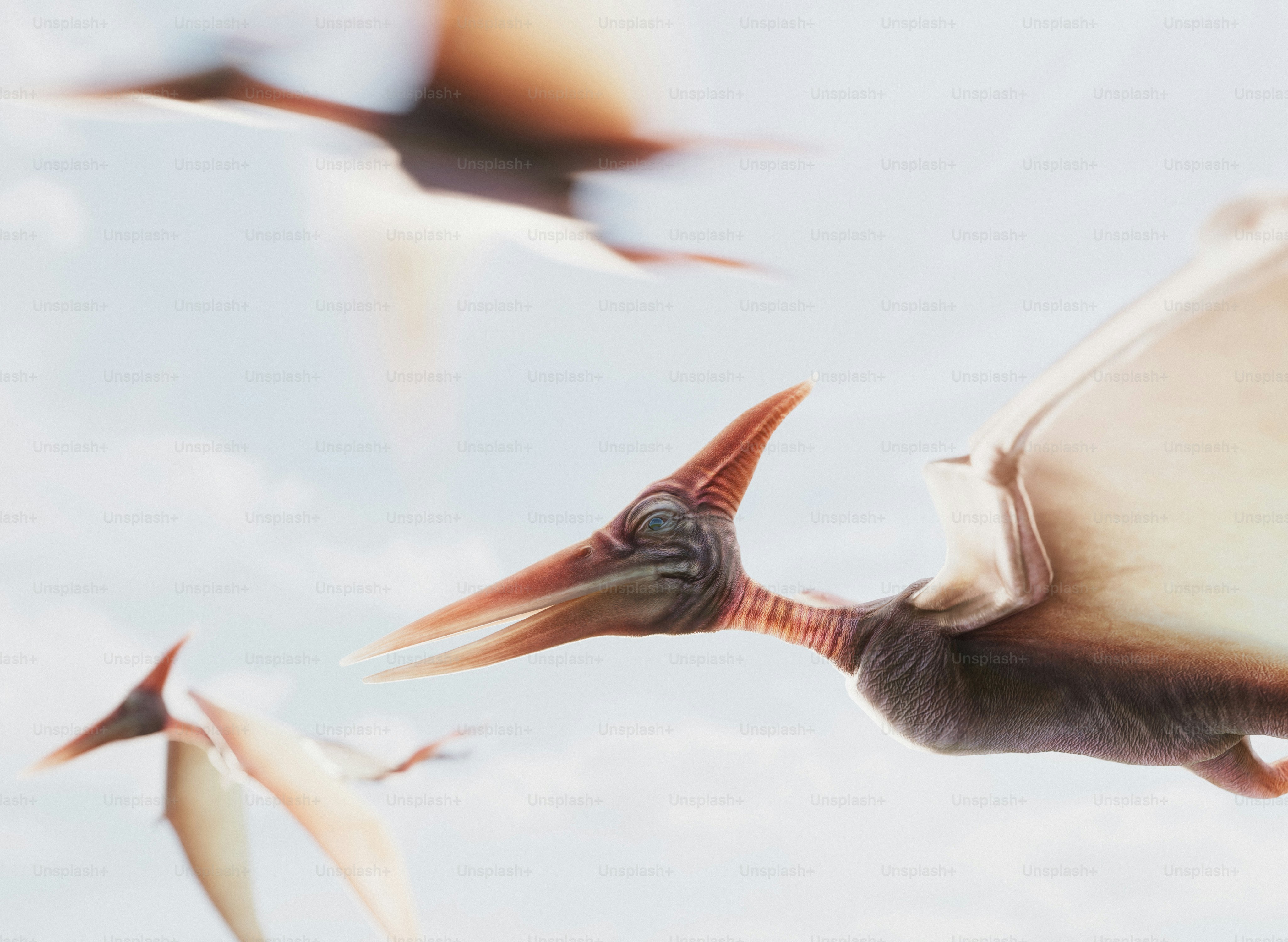Pterodactylen schweben anmutig durch den Himmel. Foto – Bild zum Thema 3D-Rendering auf Unsplash