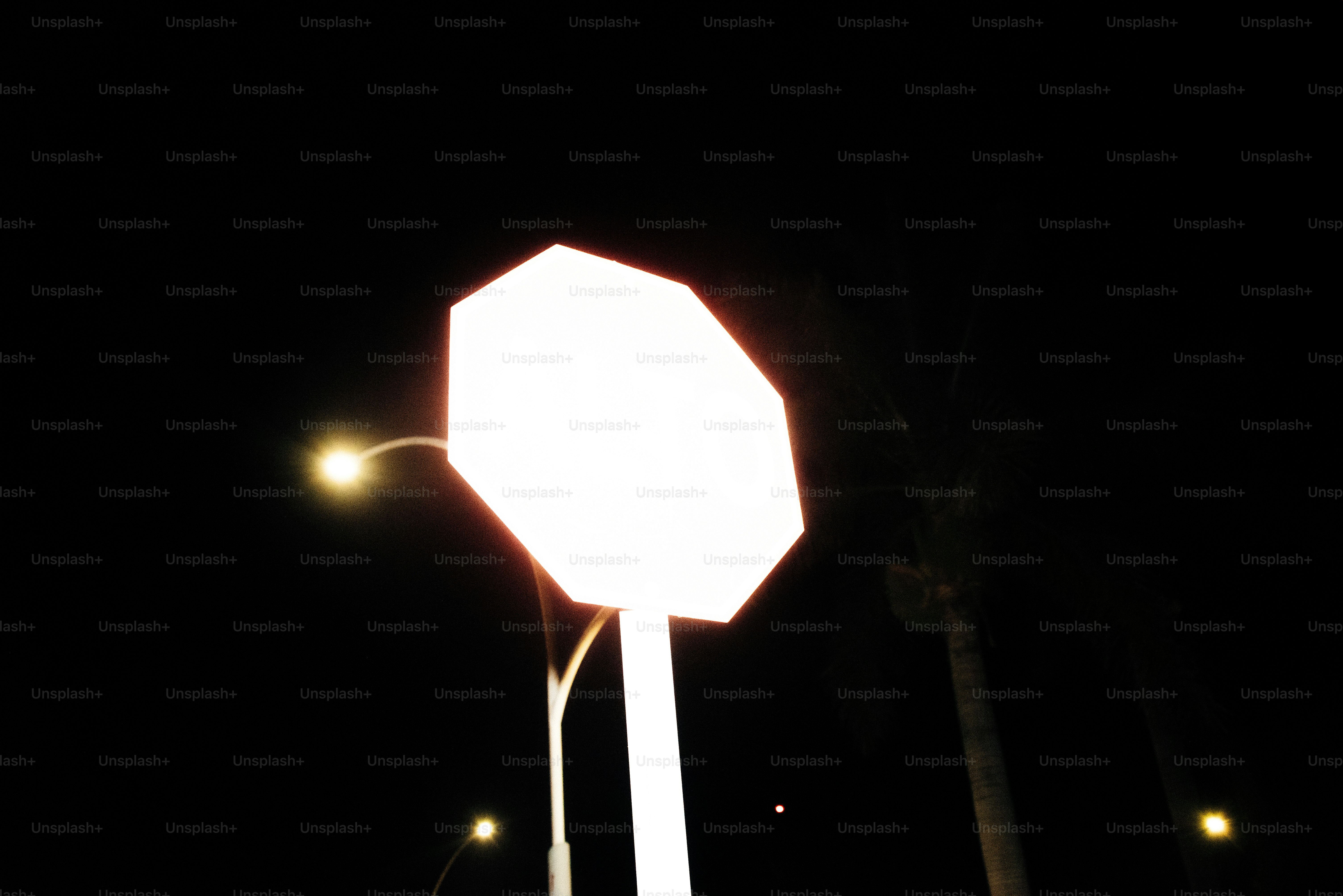 A bright stop sign at night. photo – Flash Image on Unsplash