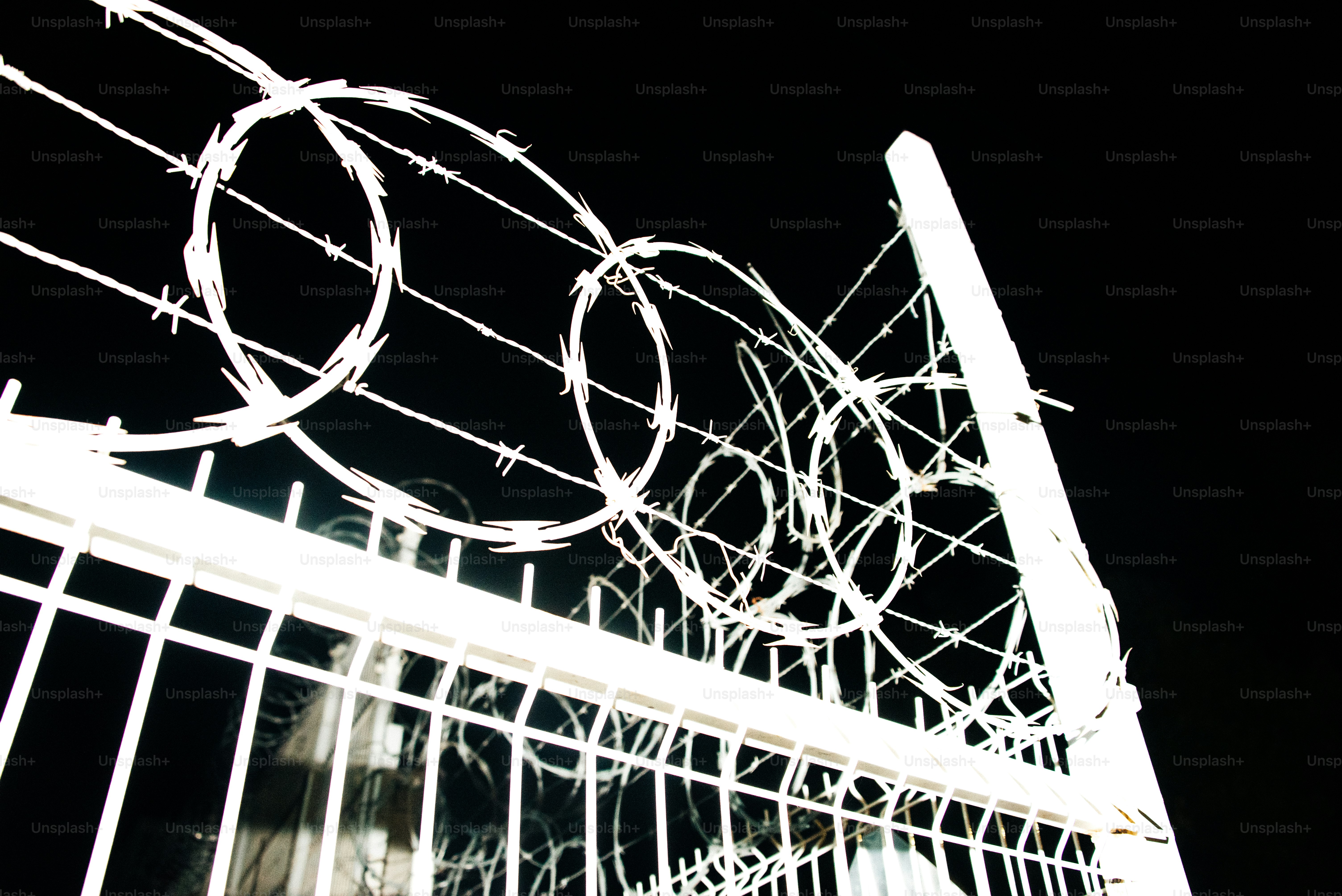 A bright stop sign at night. photo – Flash Image on Unsplash