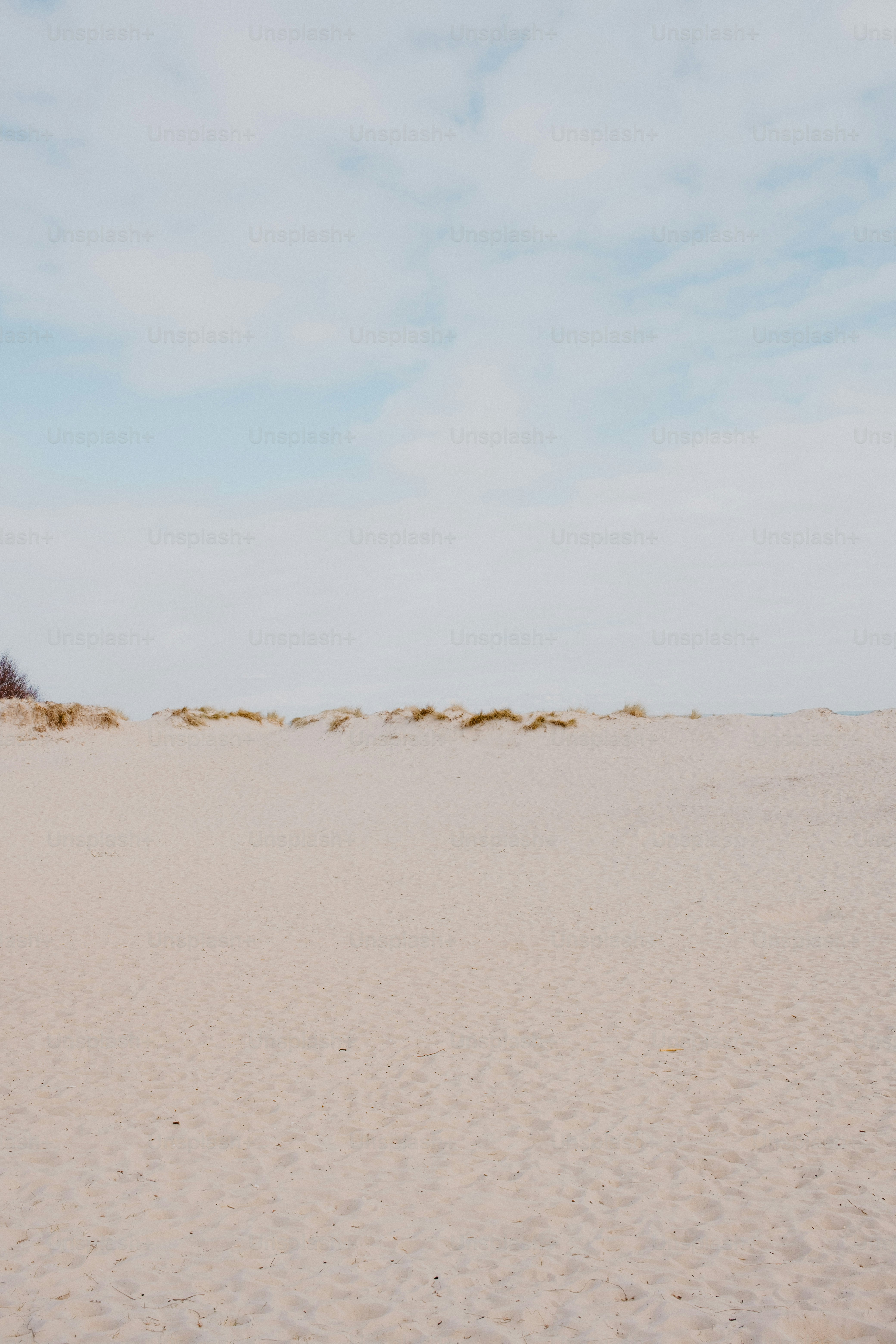 Foto Rerumputan menghadap ke pemandangan laut dan langit yang mendung ...