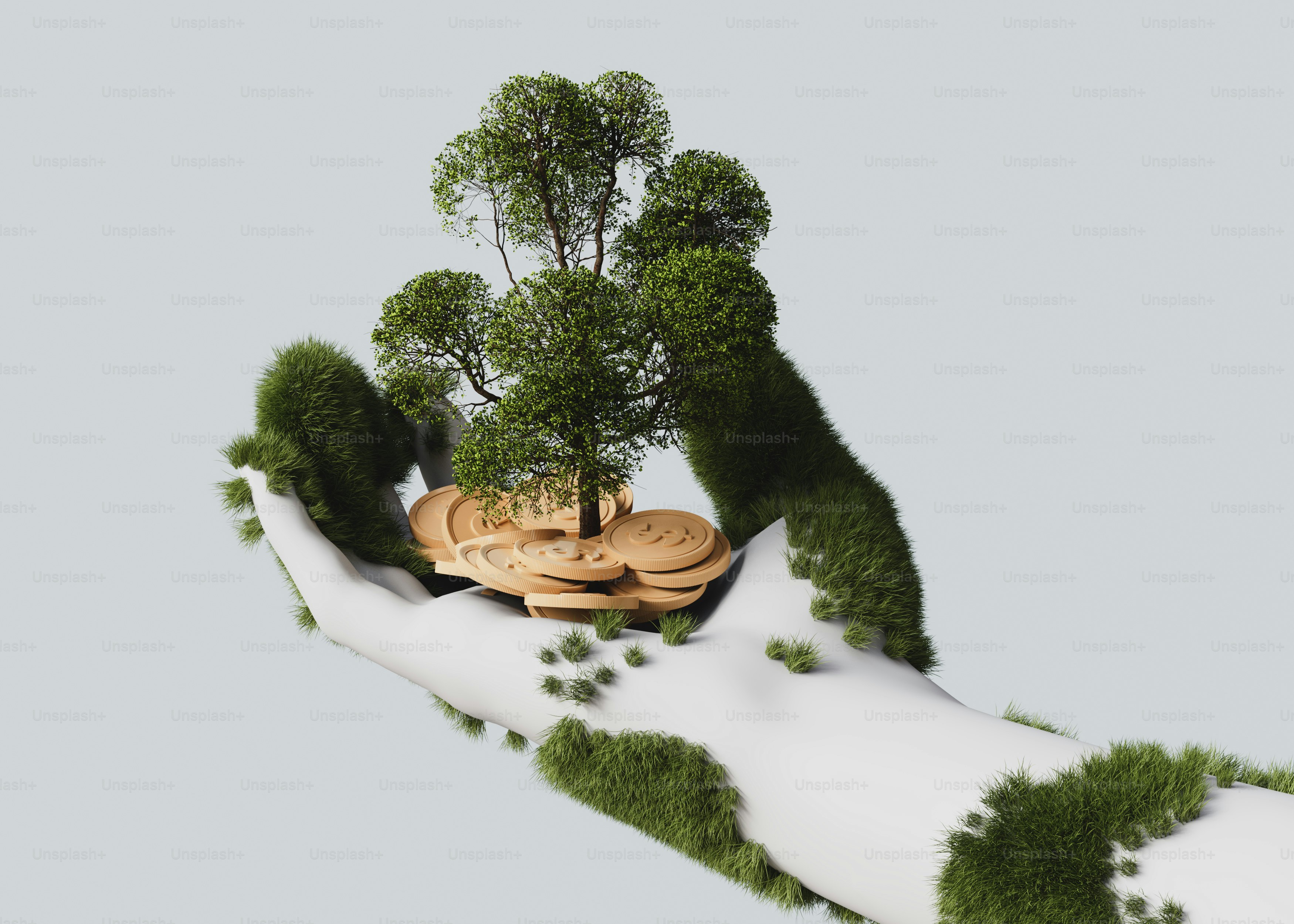 A hand with growing tree and money. photo – Money Image on Unsplash