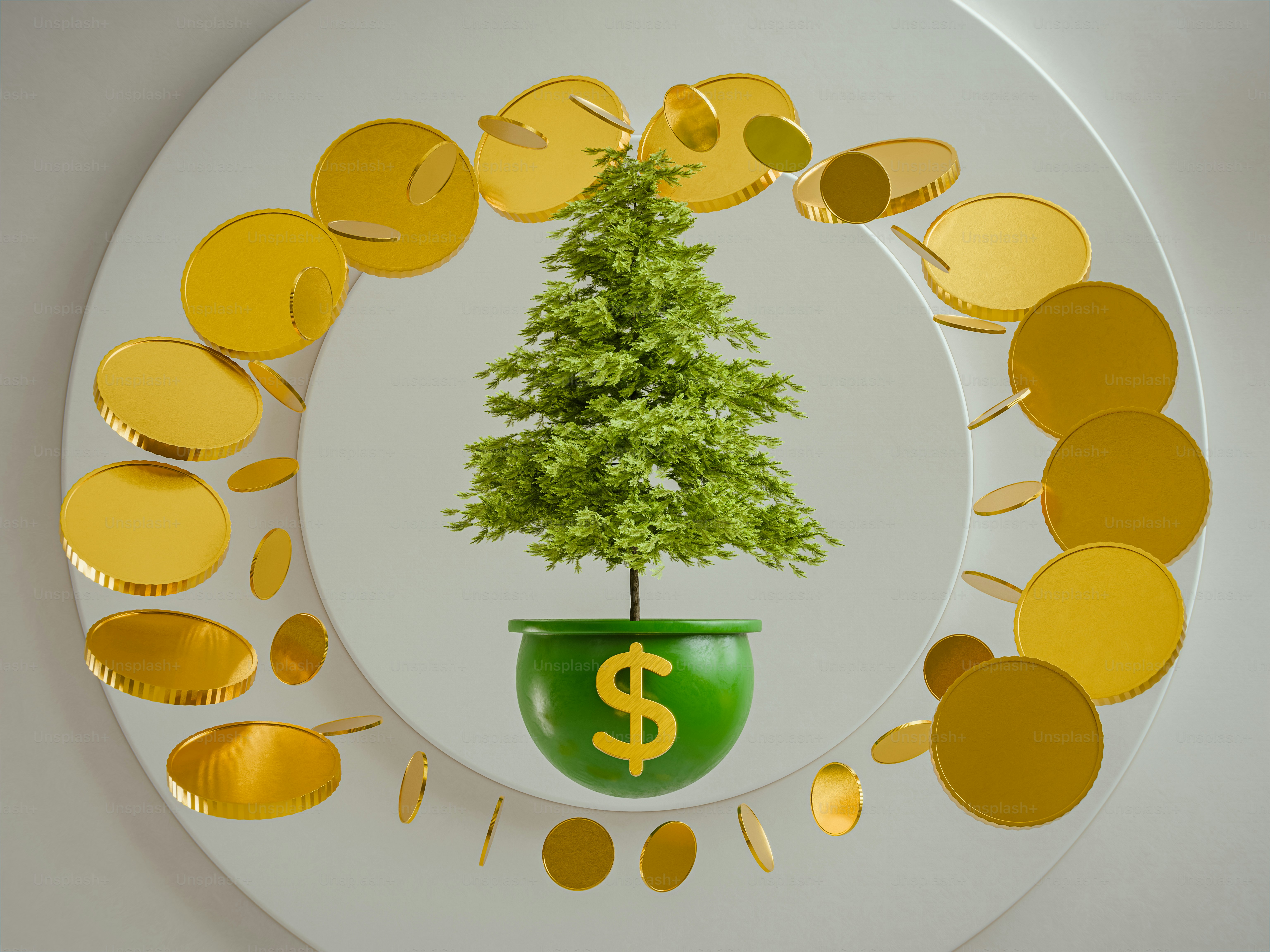 Money grows like a tree. photo – Money Image on Unsplash