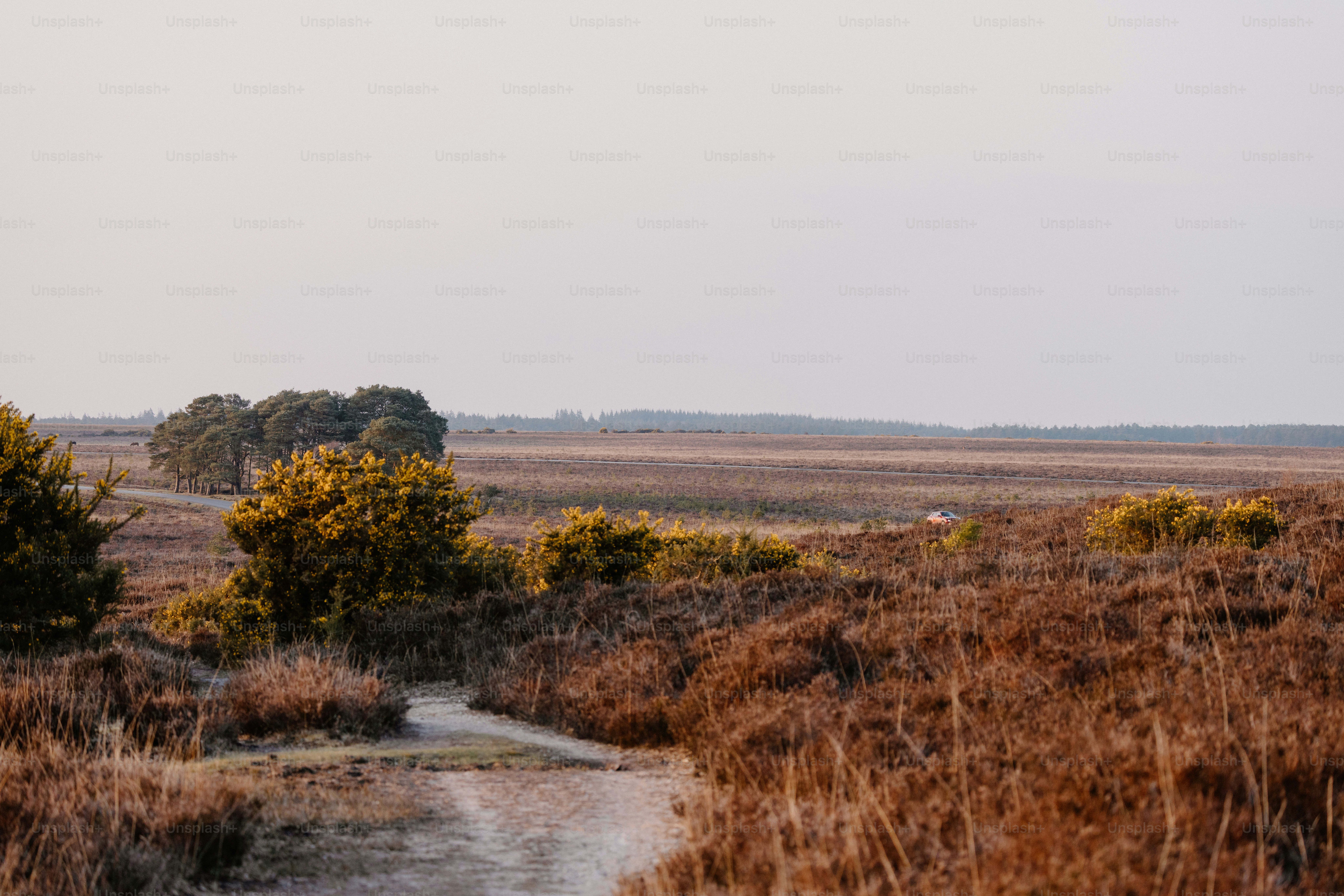 A pathway winds through a vast, open field. photo – Countryside Image ...
