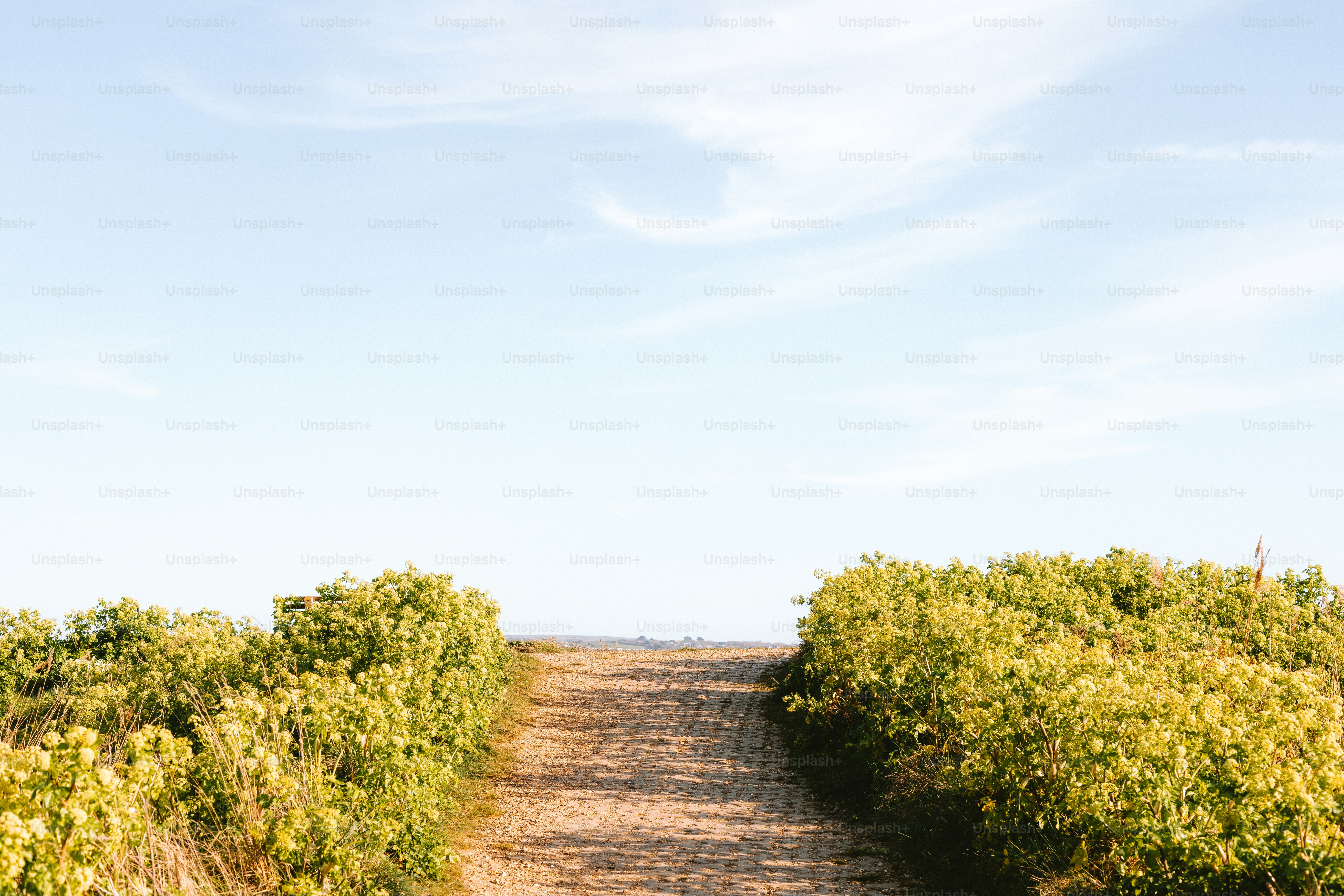 A path leads towards the horizon. photo – Minimal Image on Unsplash