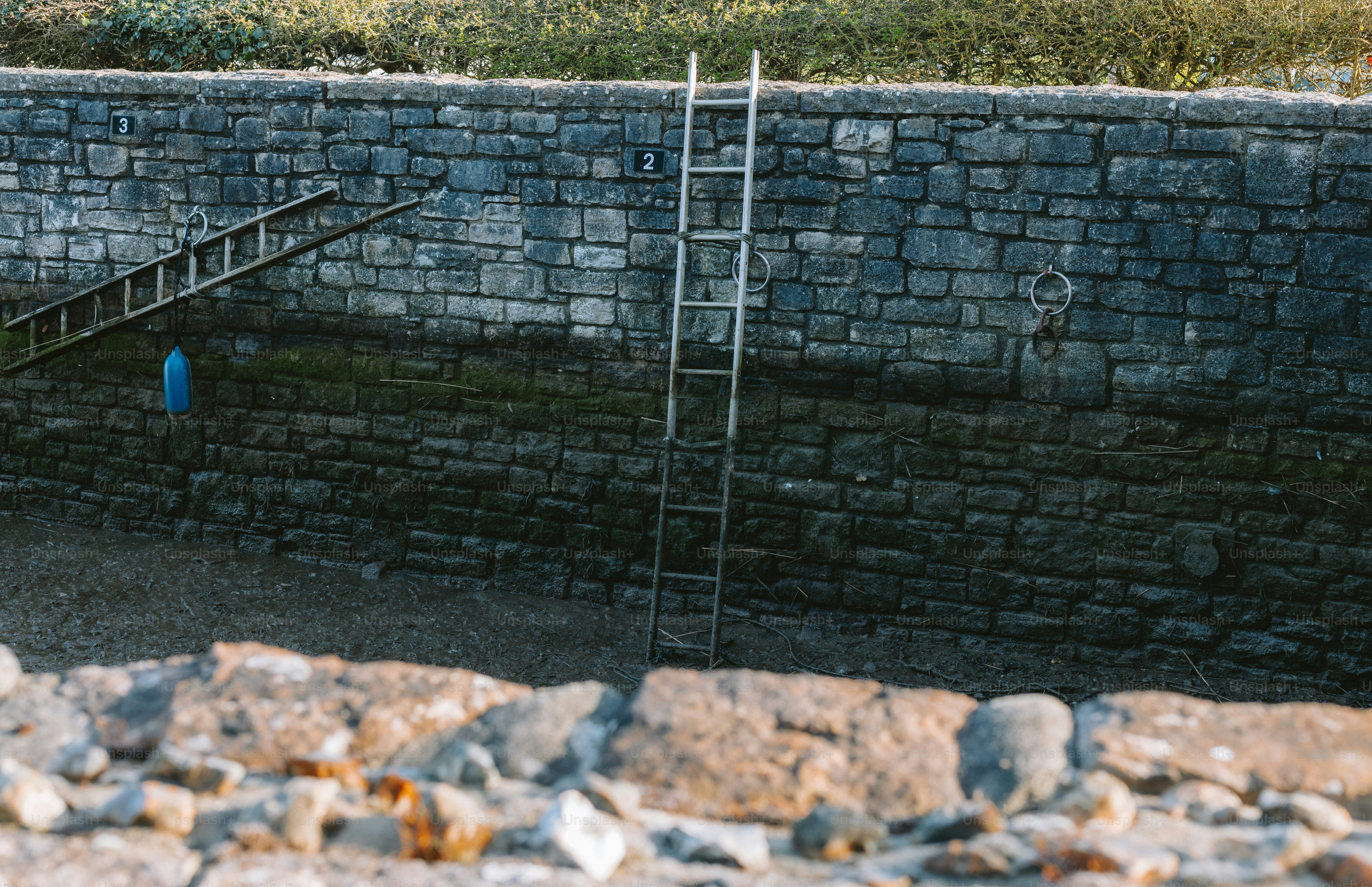 Ladders lean against a stone wall. photo – Ladder Image on Unsplash
