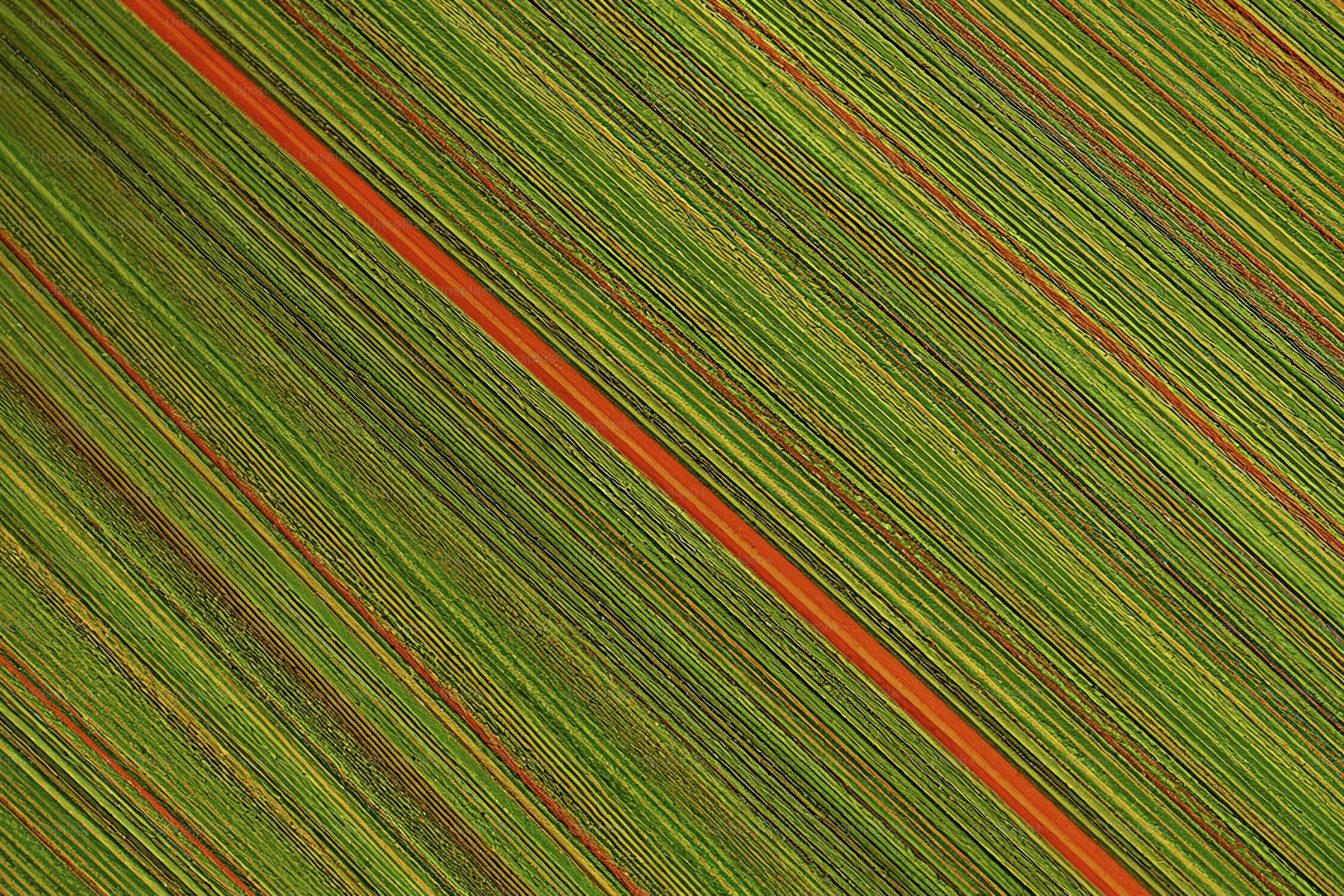 Diagonal green and red lines create an abstract pattern. photo ...