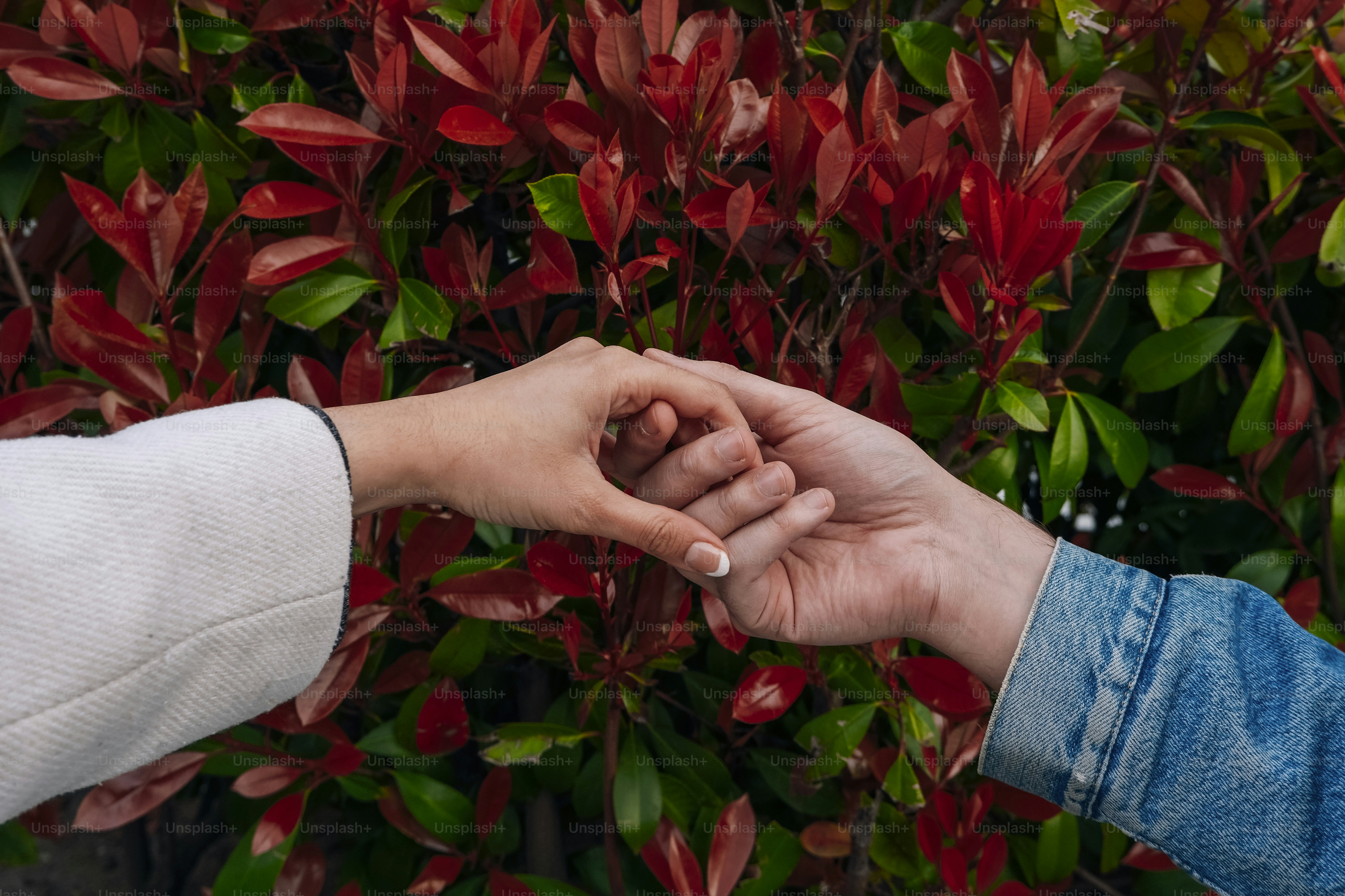 Personas tomadas de la mano con un fondo de hojas. foto – Imagen de ...