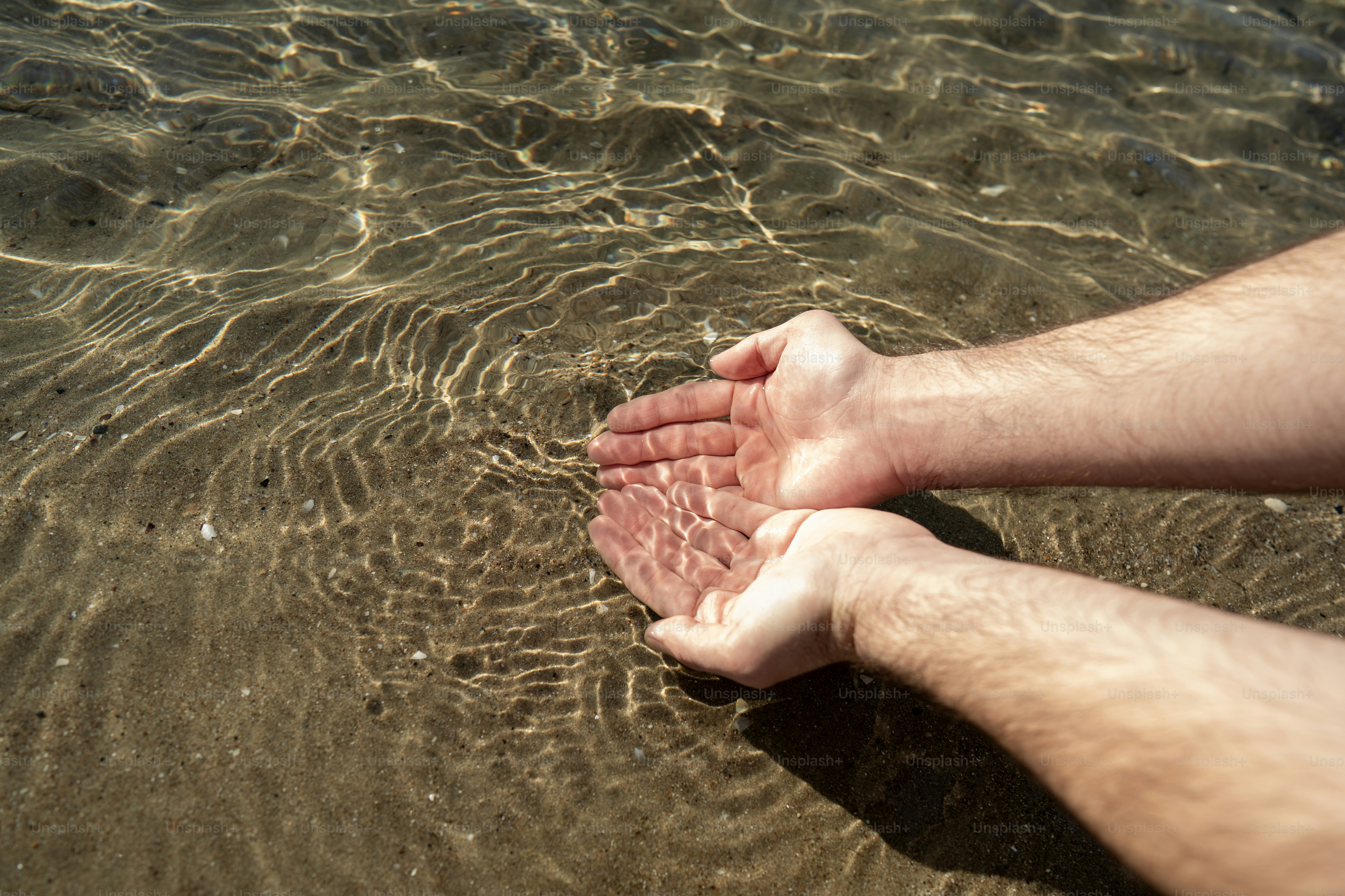 Hands cupping water in a shallow, sunlit stream. photo – Hands Image on ...