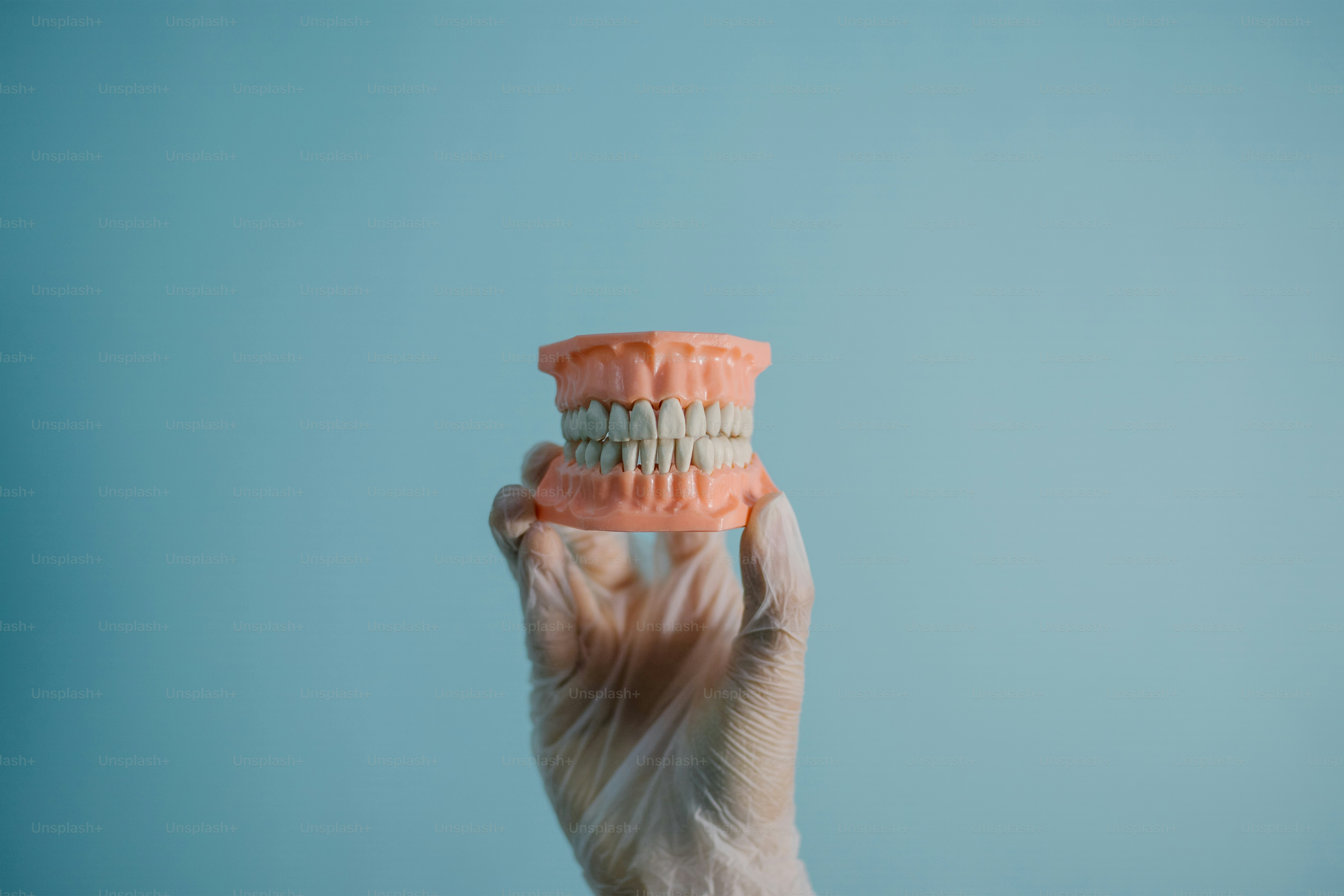 A hand holds a model of teeth. photo – Dental Image on Unsplash